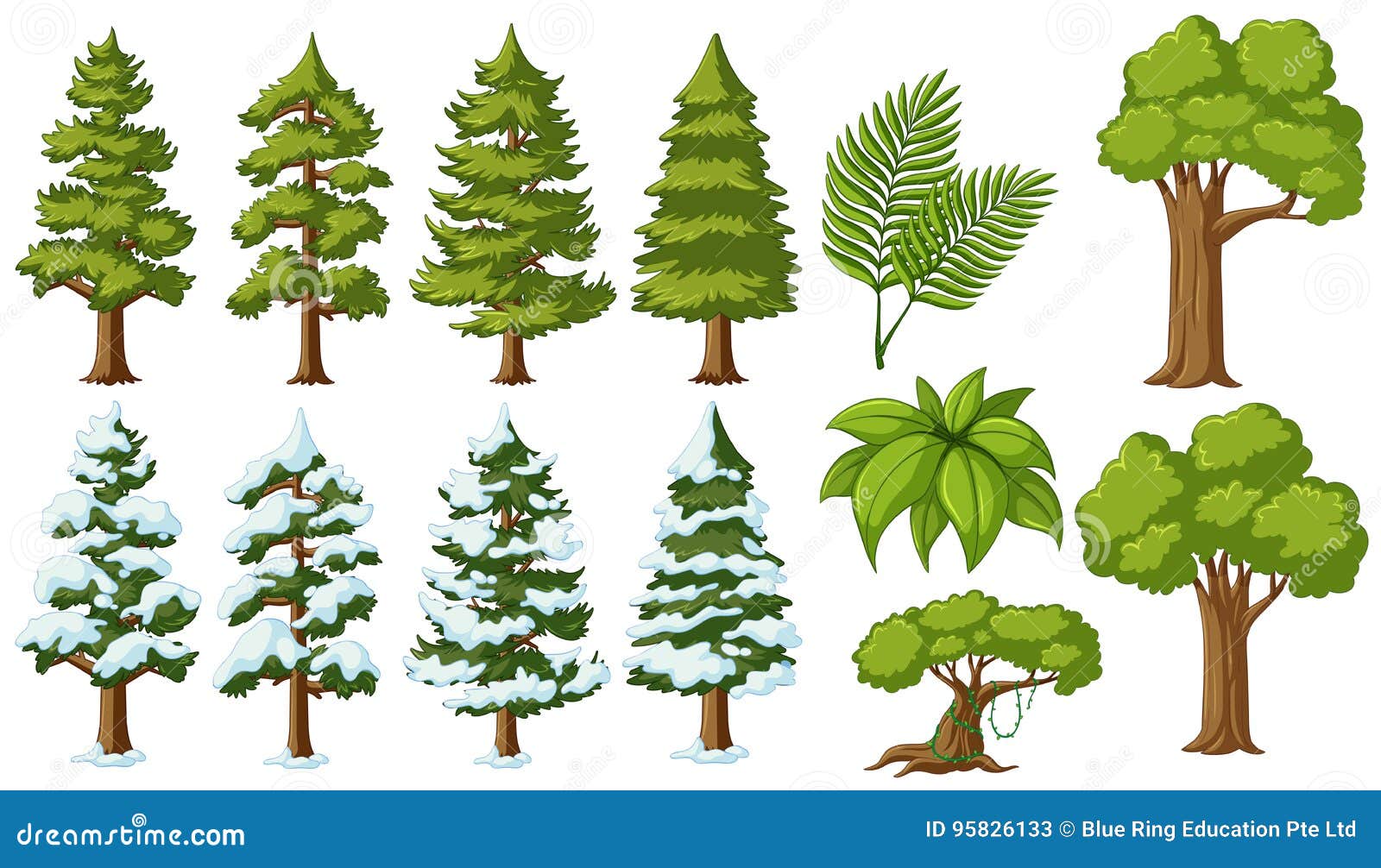 Tipi differenti di alberi illustrazione vettoriale. Illustrazione di ...