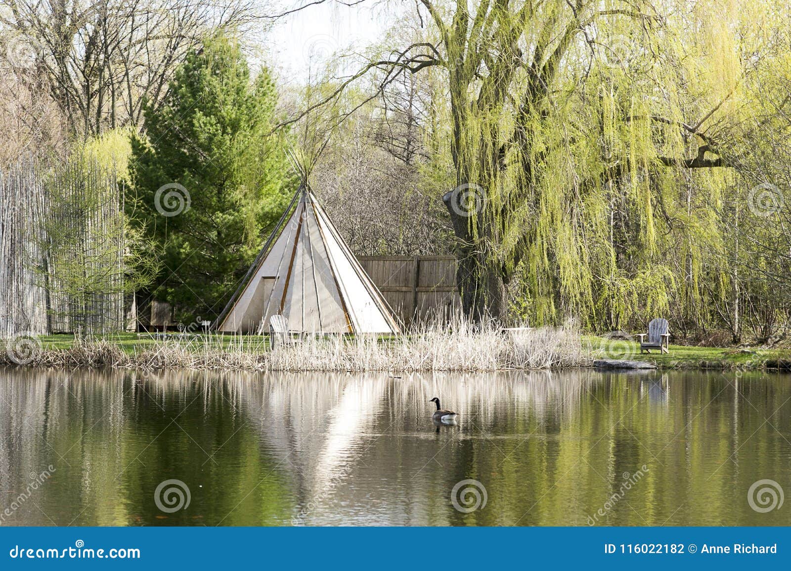 Tipi in the First Nations Garden with Its Reflection in a Pond ...