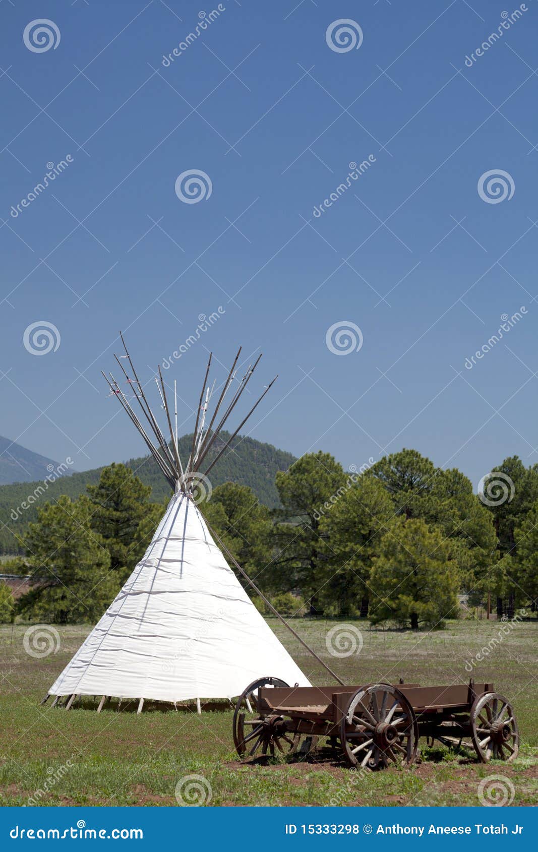 A Tipi, Or Teepee Made Of Trees In A Pine Forest Stock Photography ...