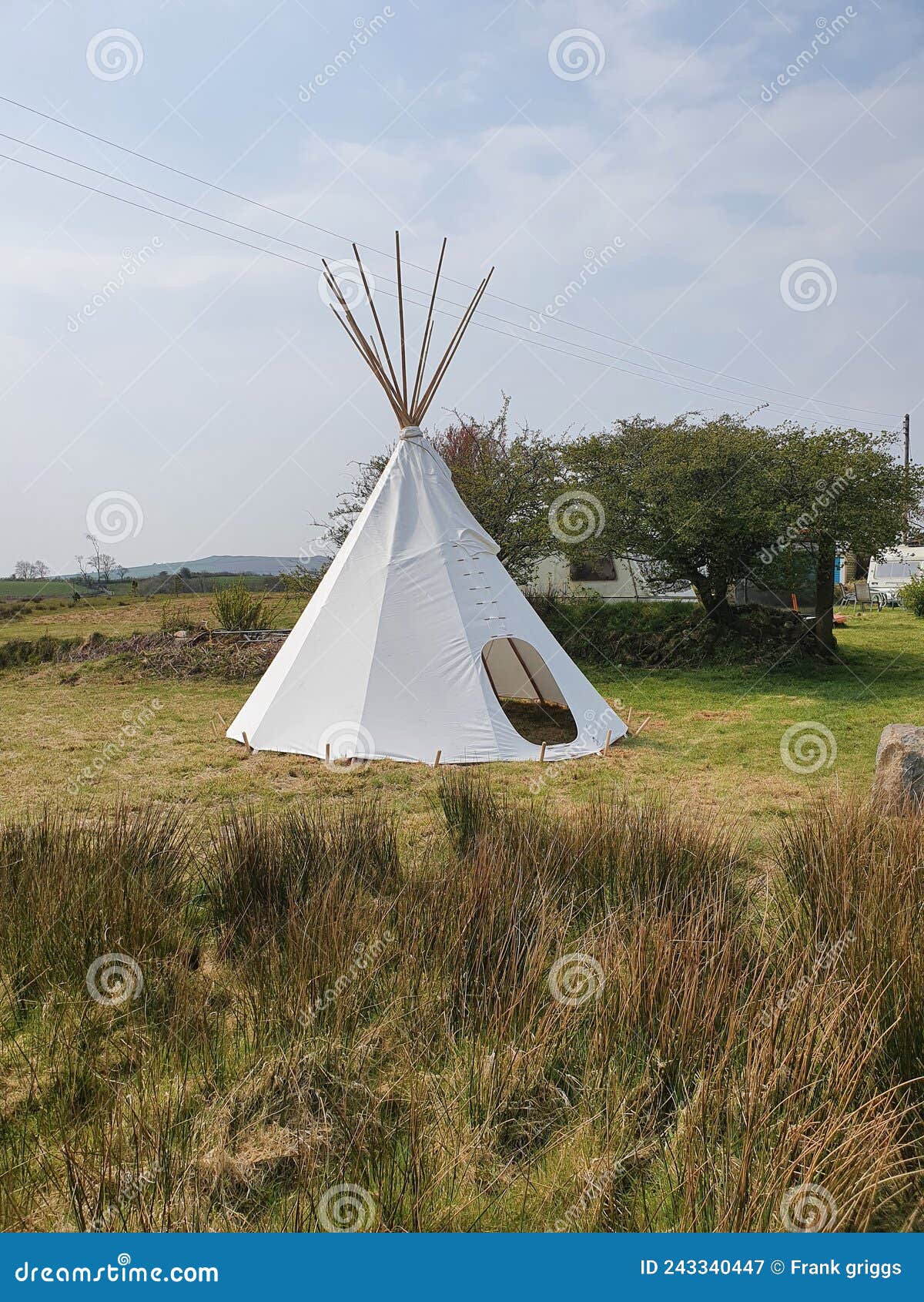 A Tipi, Or Teepee Made Of Trees In A Pine Forest Stock Photography ...