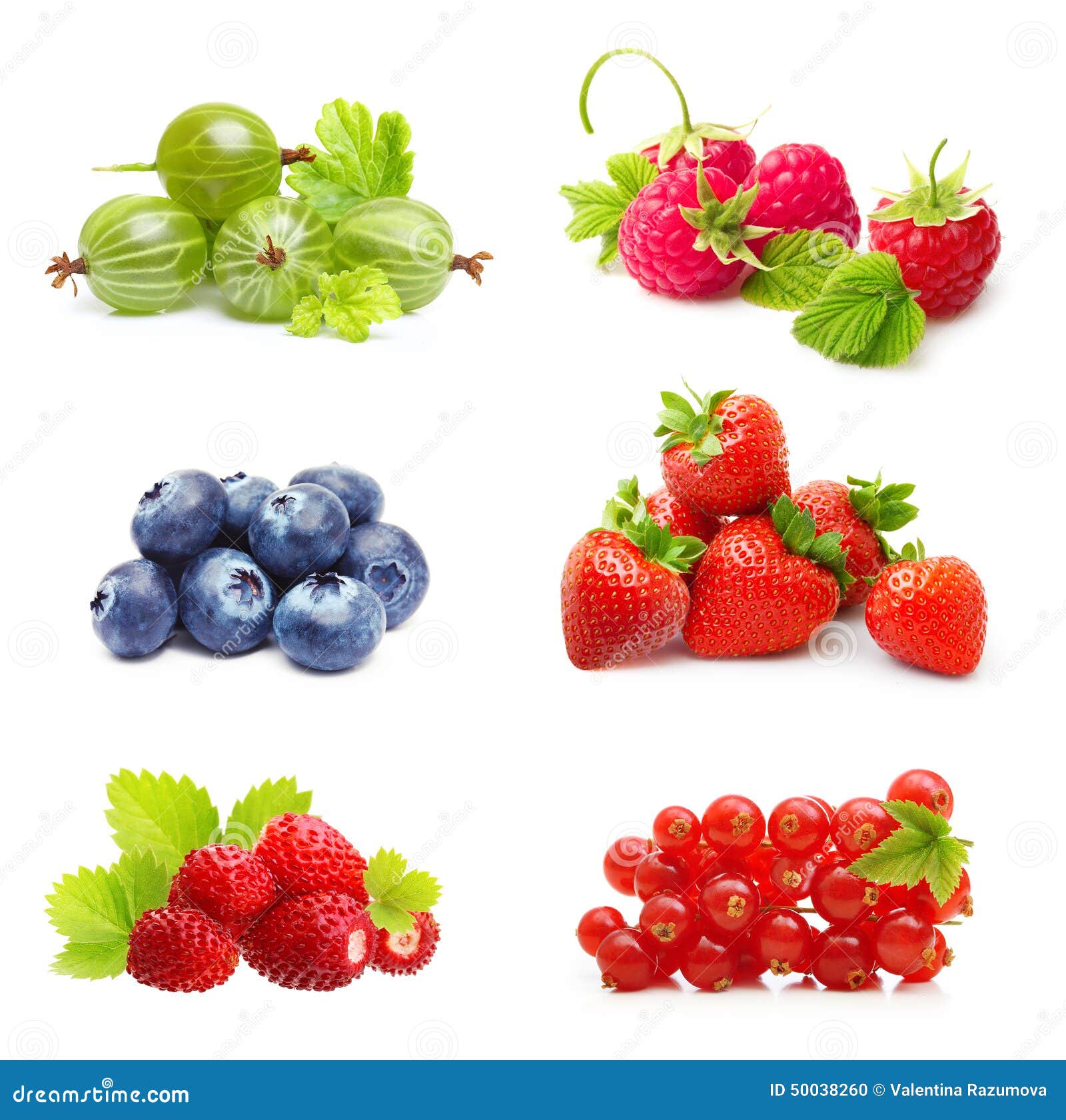 Tipo Differente Di Bacche Isolate Fotografia Stock - Immagine di fresco ...