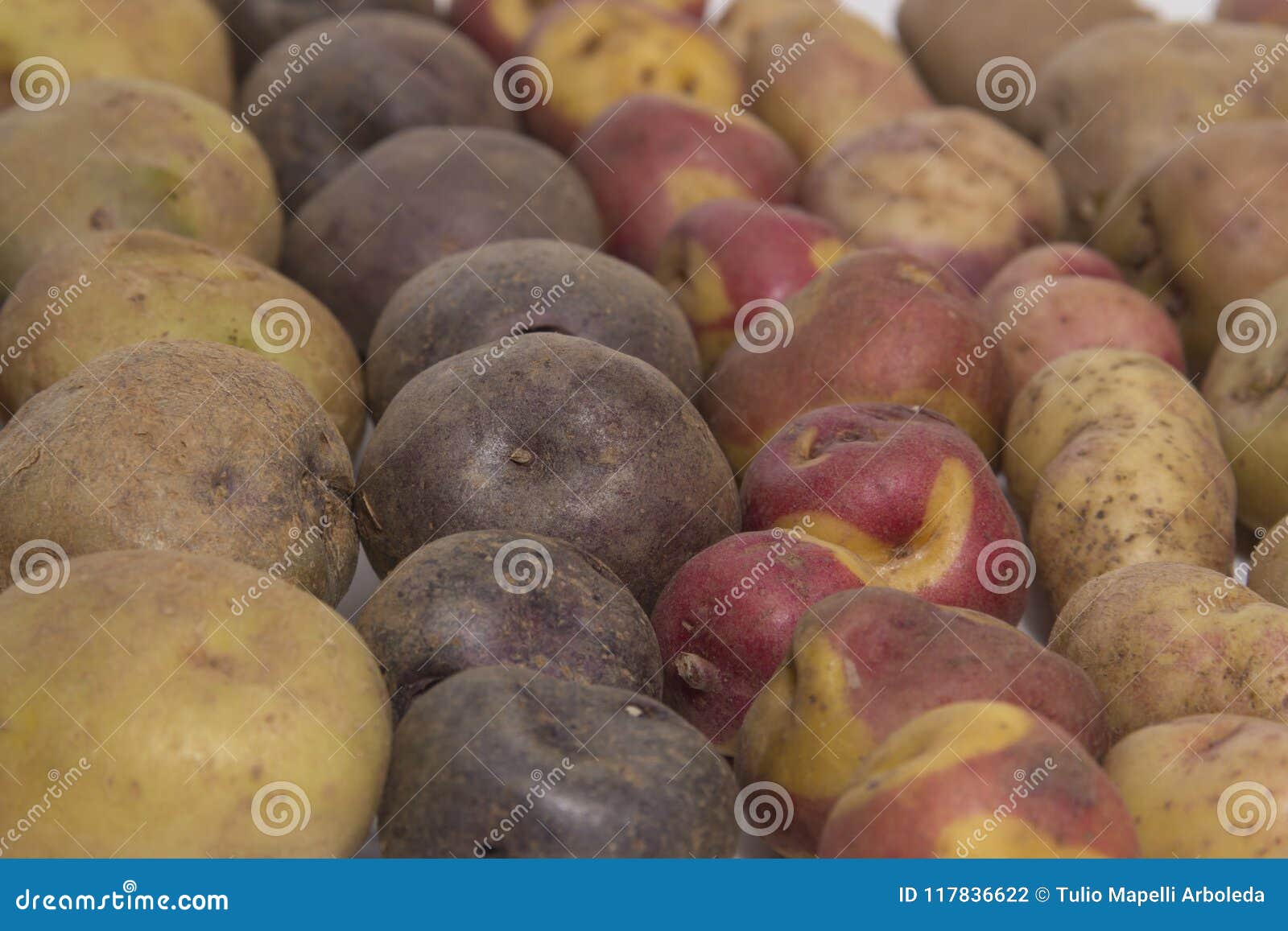 Tipos De Batatas - Das Batatas Vida Peruana Ainda Foto de Stock ...