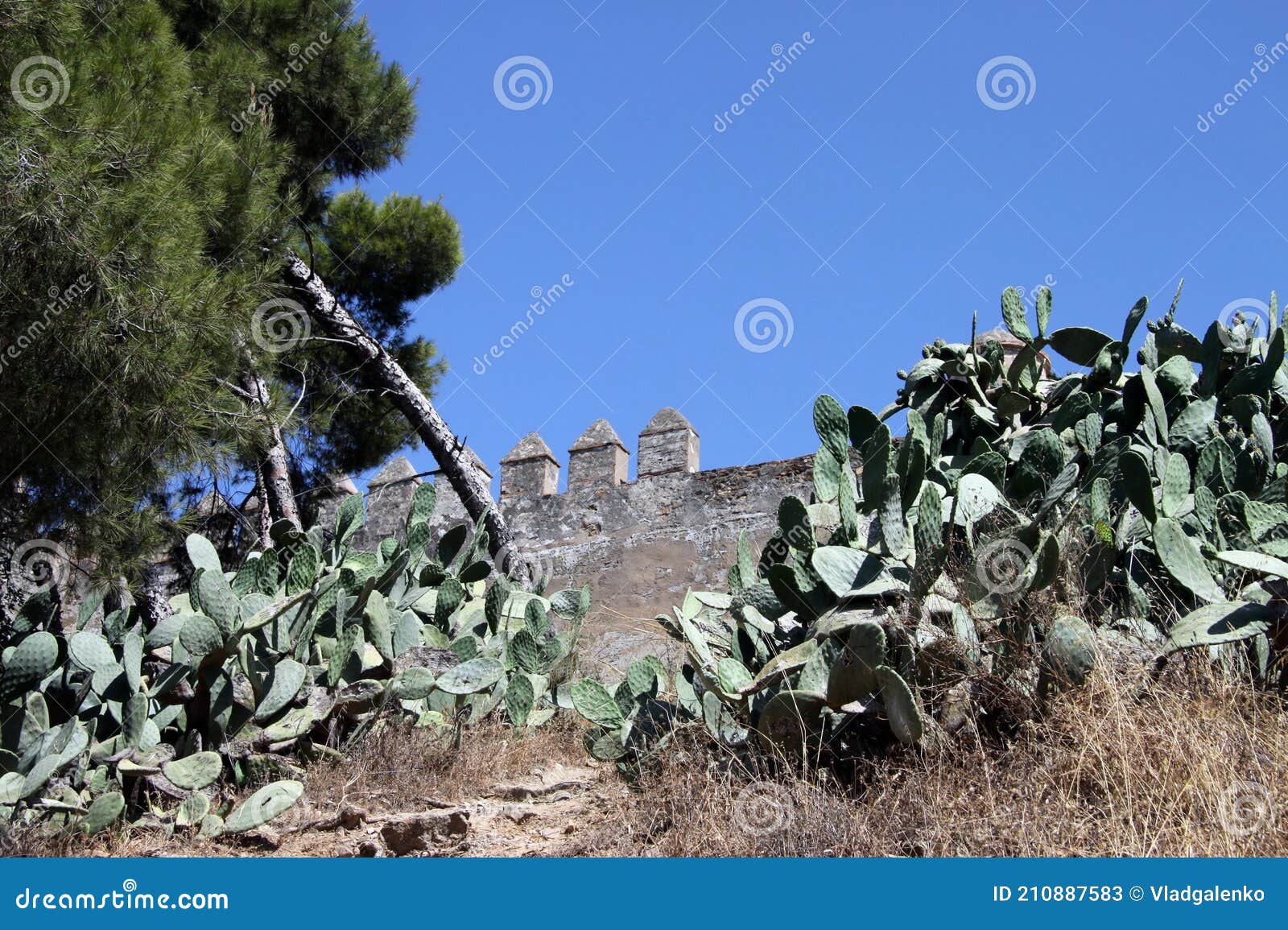 Tipos De Castelo Antigo a Alcazaba De Malaga Imagem de Stock - Imagem ...