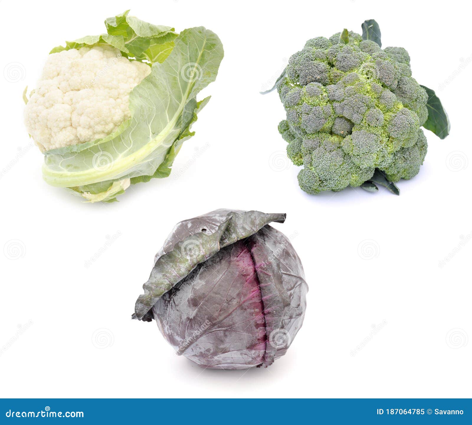 Tipos de repolho imagem de stock. Imagem de mistura - 187064785