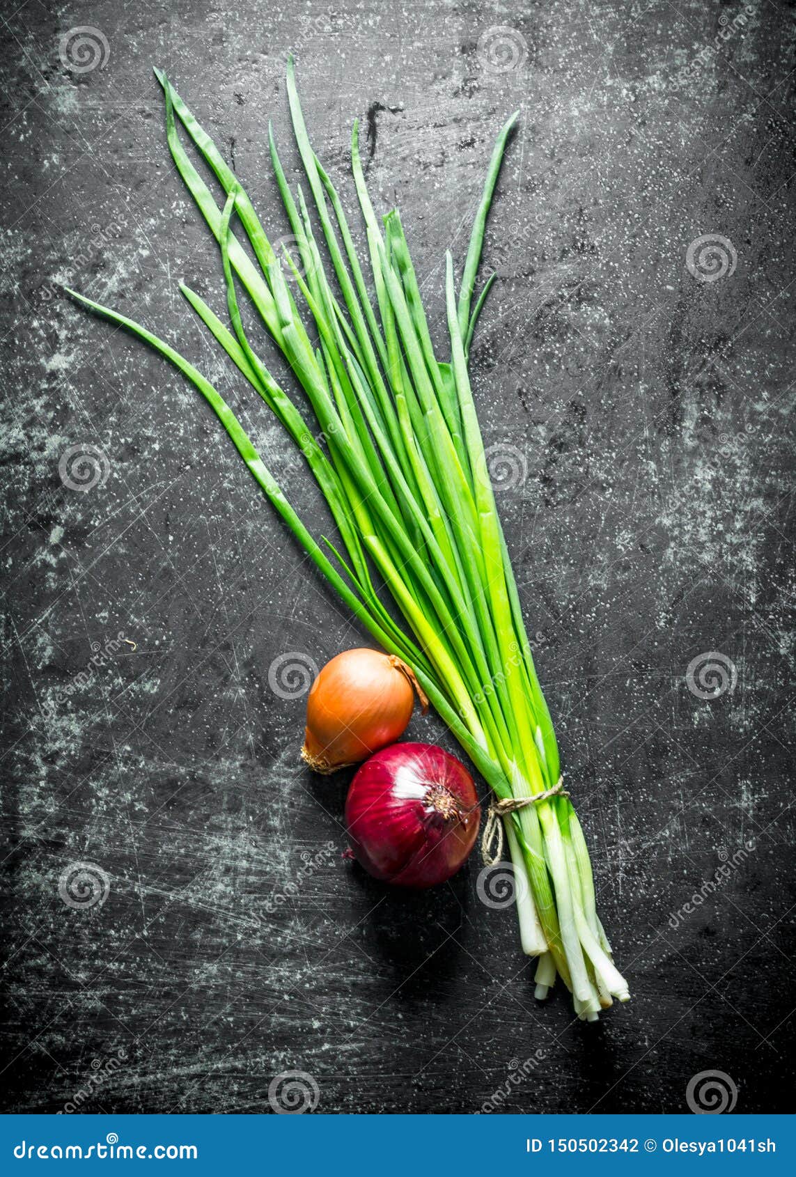 Tipos Diferentes De Cebolas Foto de Stock - Imagem de tempero ...