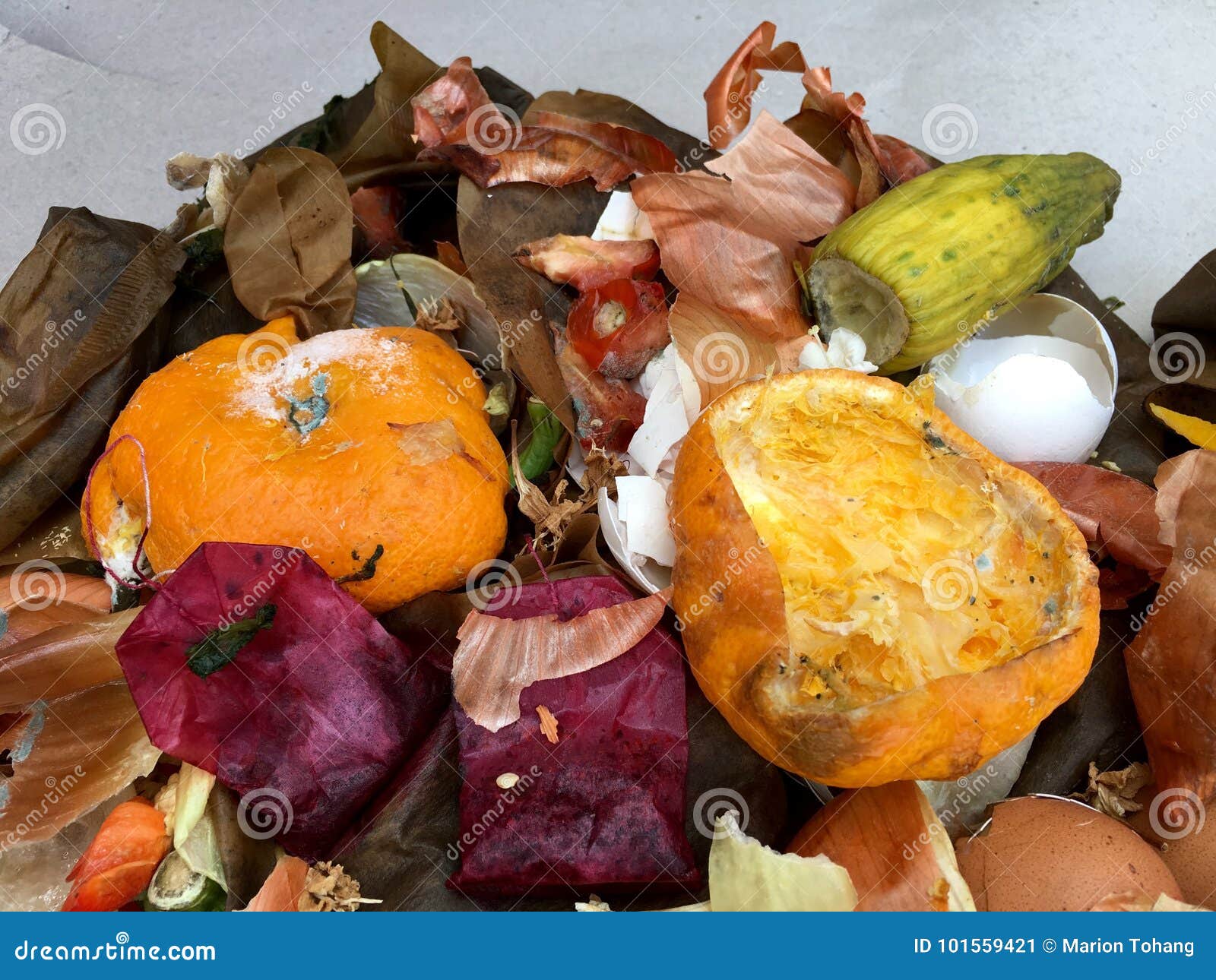 Tipos Diferentes De Frutas E Legumes Podres Imagem de Stock - Imagem de ...