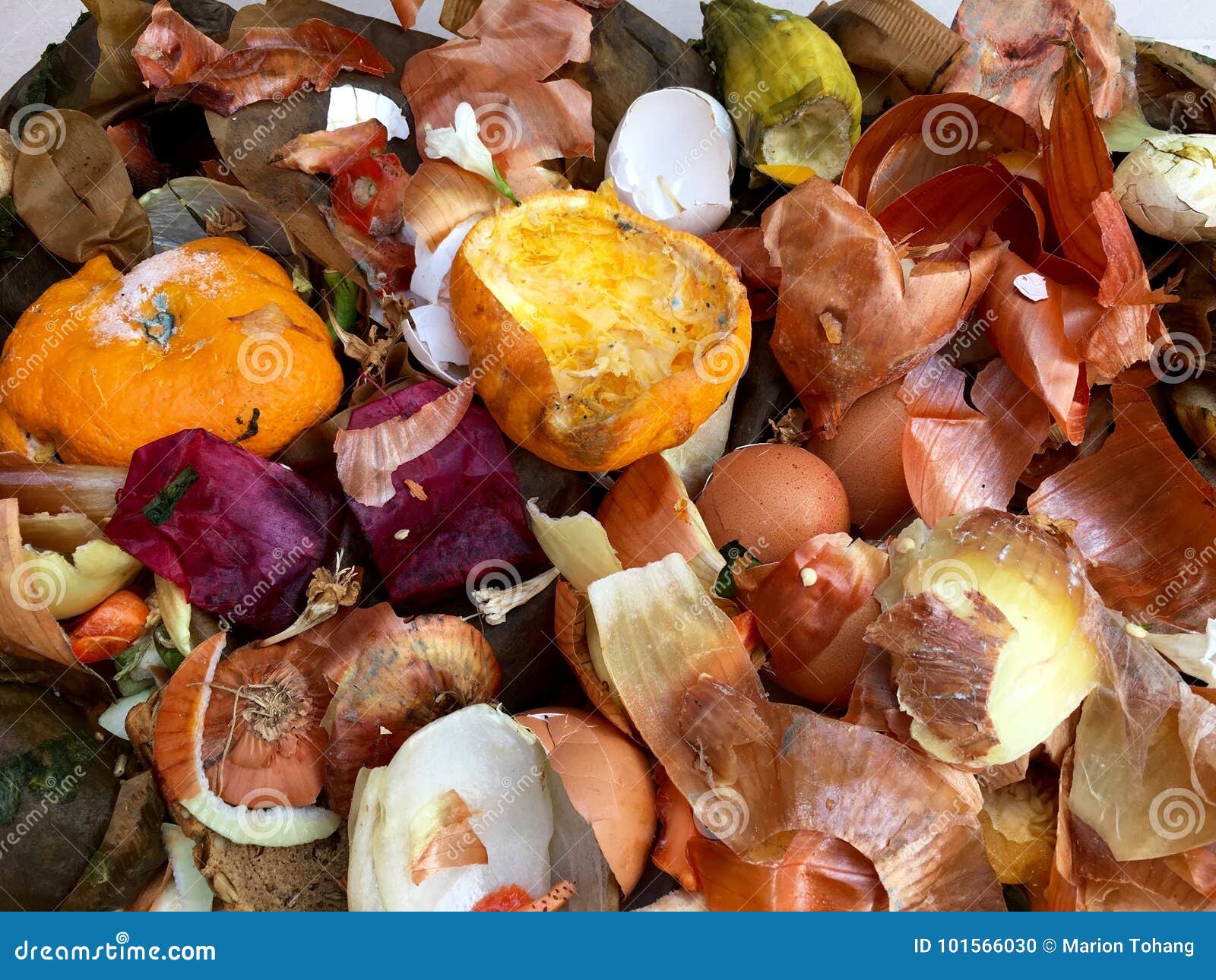 Tipos Diferentes De Frutas E Legumes Podres Foto de Stock - Imagem de ...