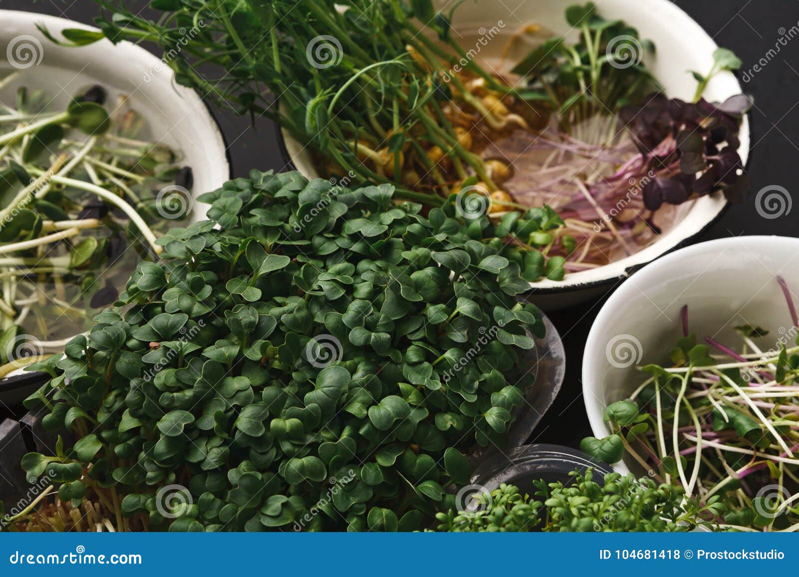 Tipos Diferentes De Micro Verdes Foto de Stock - Imagem de pouco ...