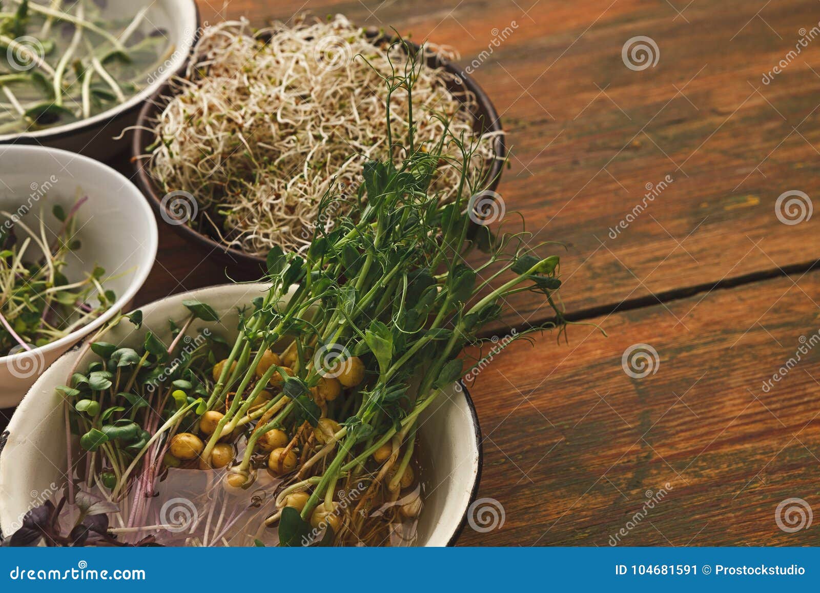 Tipos Diferentes De Micro Verdes Imagem de Stock - Imagem de ...