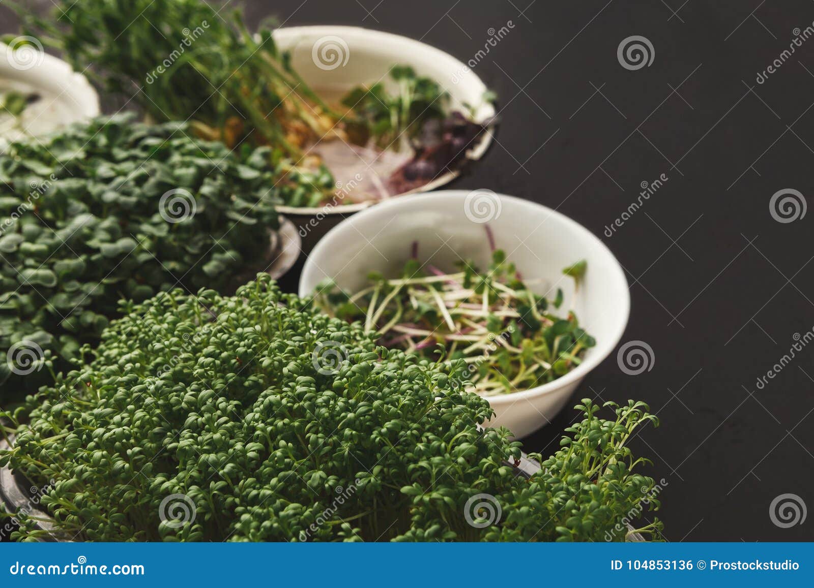 Tipos Diferentes De Micro Verdes Foto de Stock - Imagem de micro ...