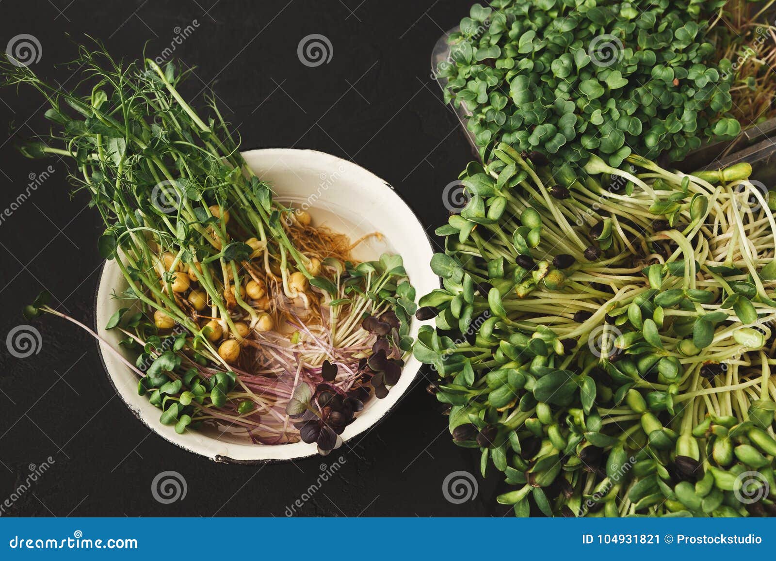 Tipos Diferentes De Micro Verdes Imagem de Stock - Imagem de ...