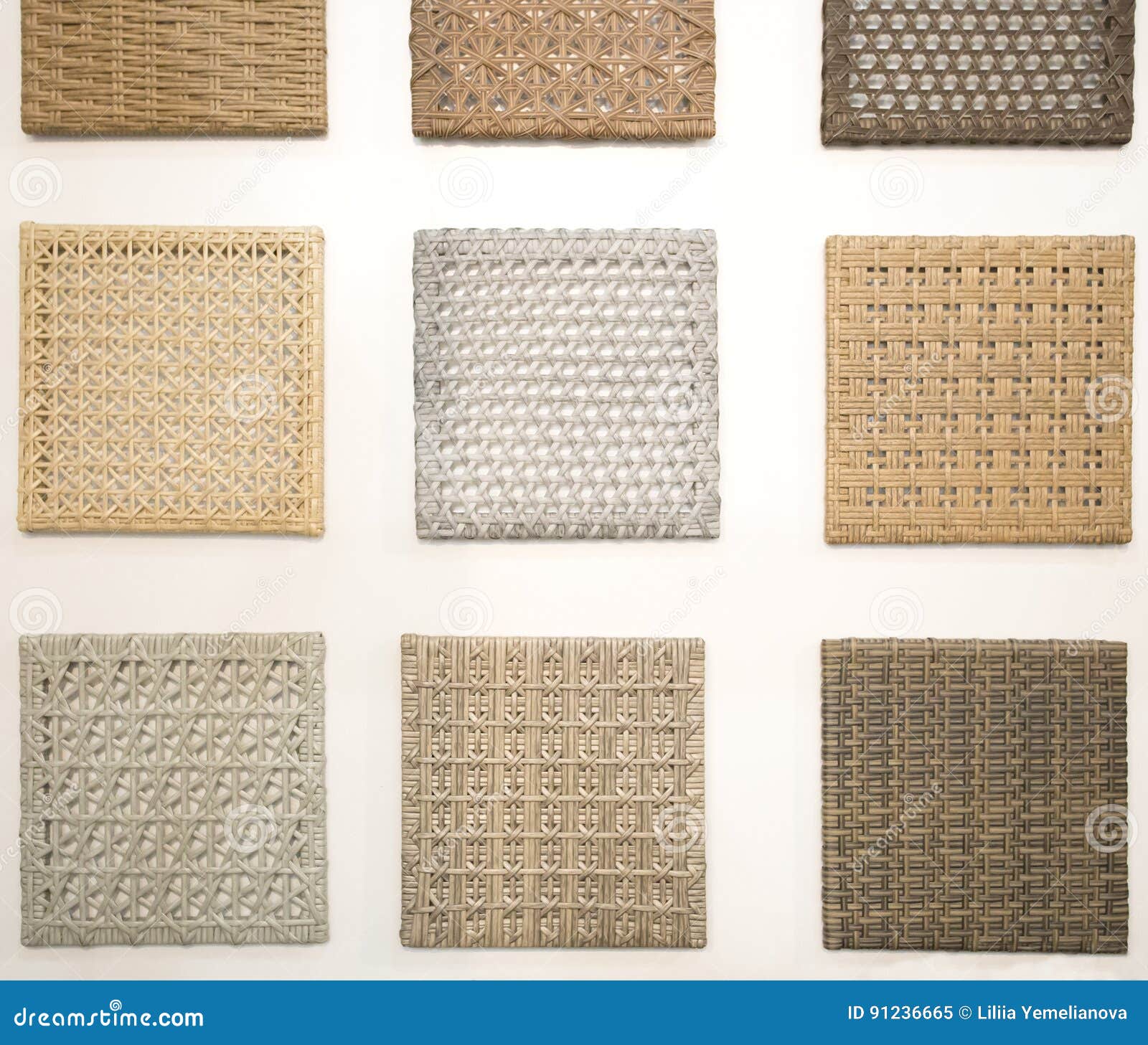 Tipos diferentes de vimes imagem de stock. Imagem de orgânico - 91236665