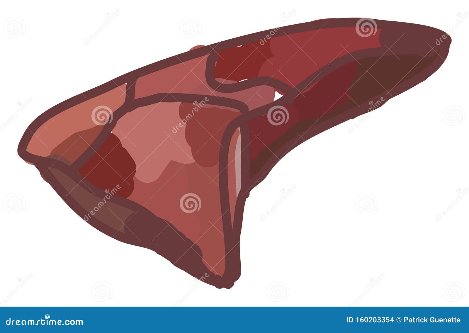 Tips, bild, vektor vektor illustrationer. Illustration av meny - 160203354