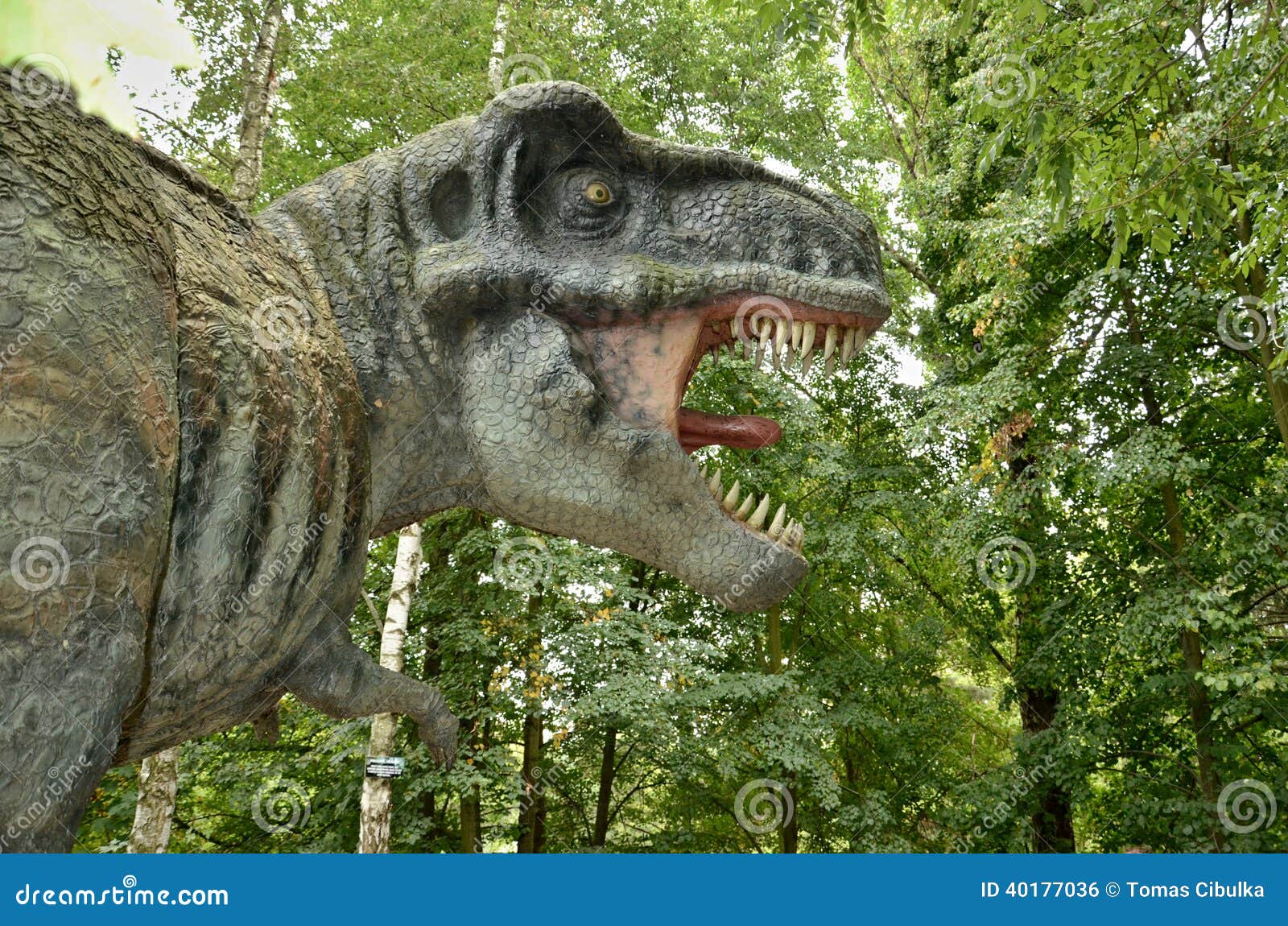 Tirannosauro Rex fotografia stock. Immagine di pericolo - 40177036