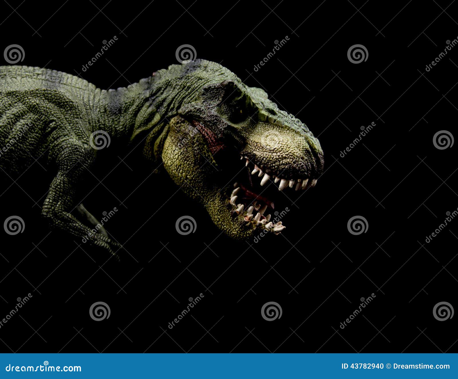 Tirannosauro Rex fotografia stock. Immagine di rettile - 43782940