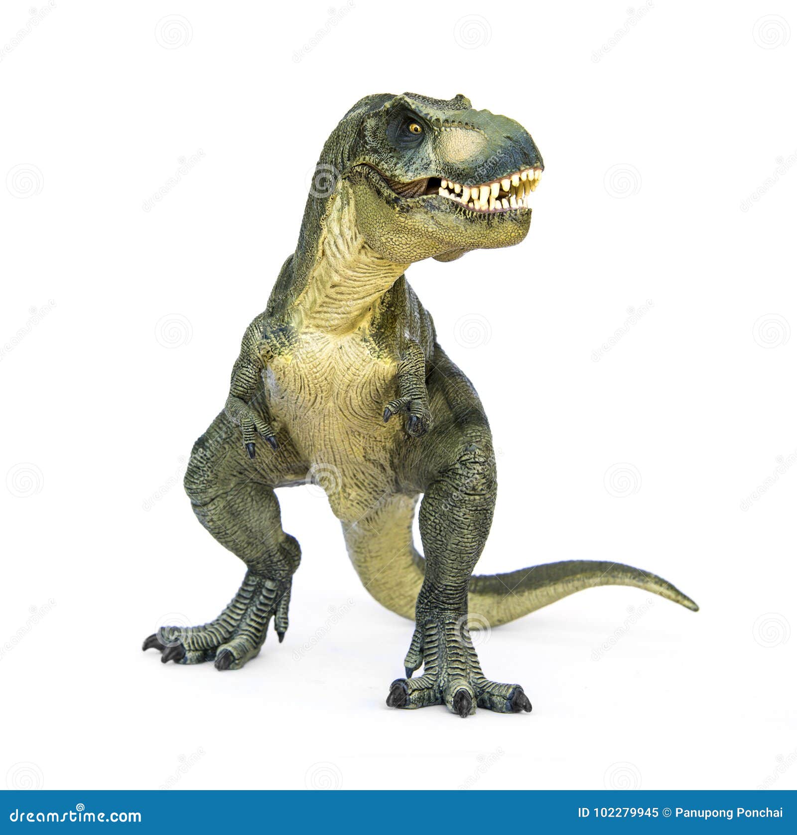 Tirannosauro Rex Del Dinosauro Immagine Stock - Immagine di dinosauro ...