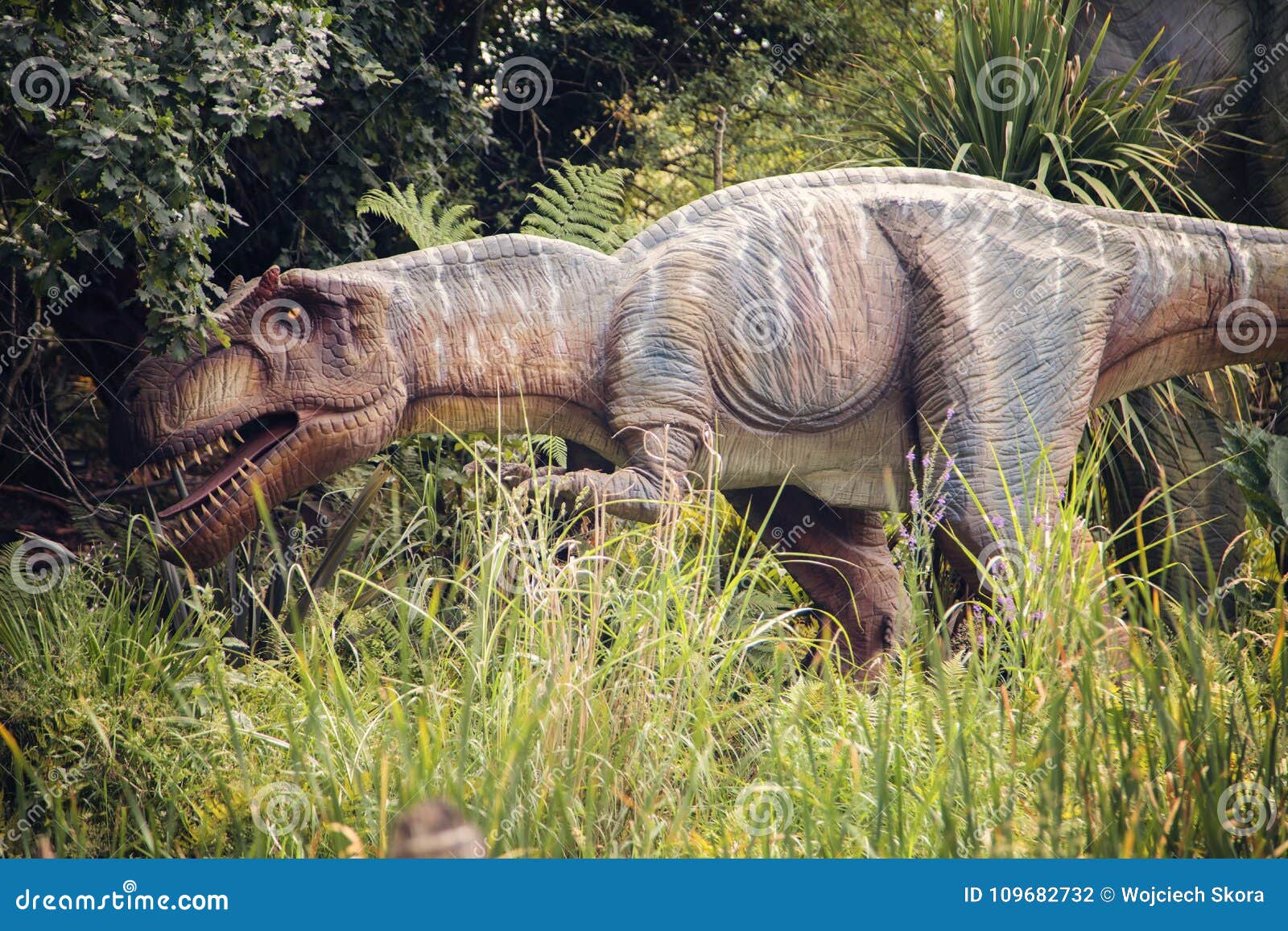 Tirannosauro Rex Del Dinosauro Fotografia Stock - Immagine di storia ...