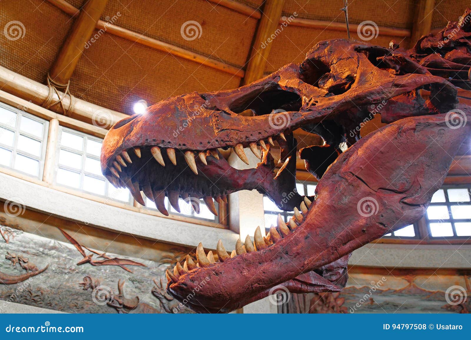 Tiranosaurio Rex Skeleton De T-Rex Foto de archivo editorial - Imagen ...
