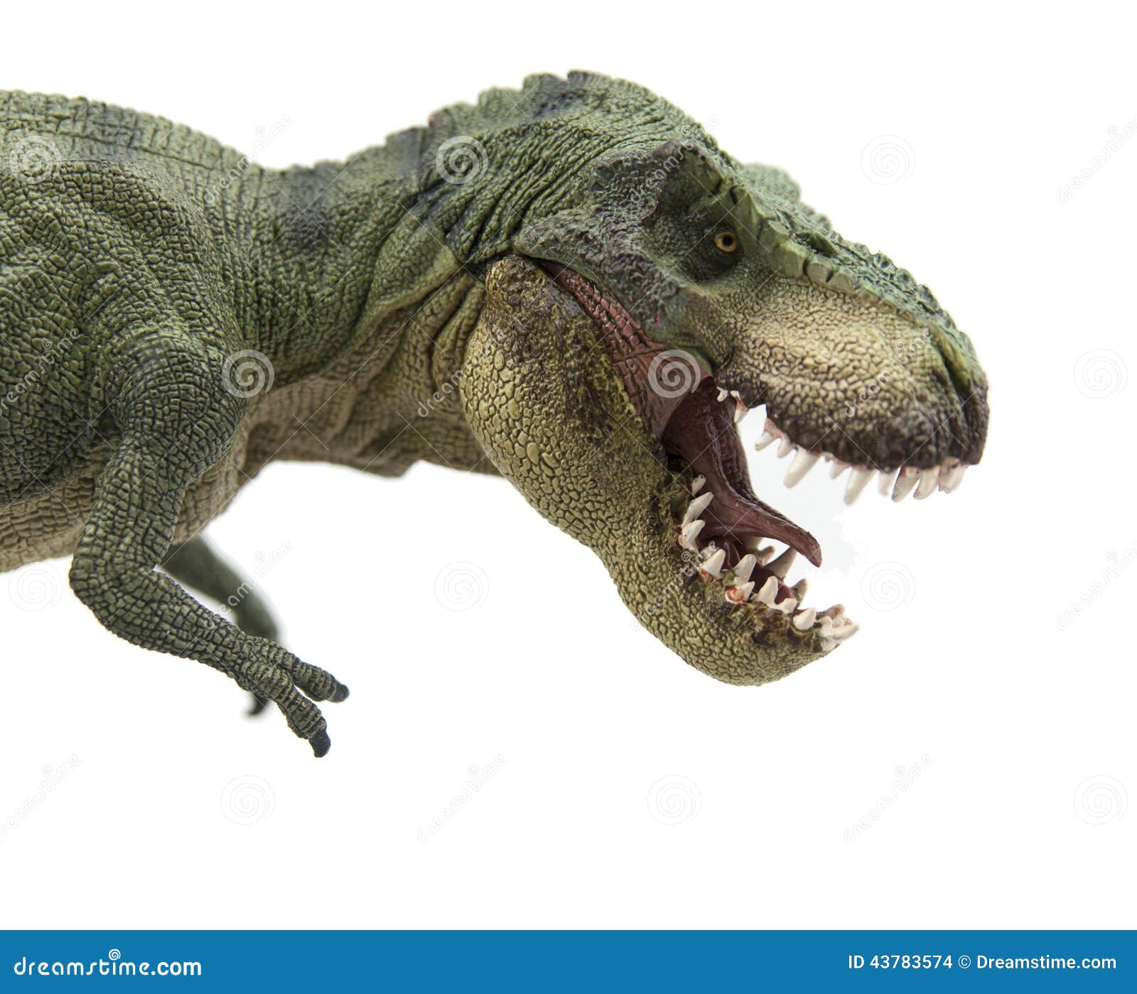 Tiranossauro Rex foto de stock. Imagem de tiranossauro - 43783574