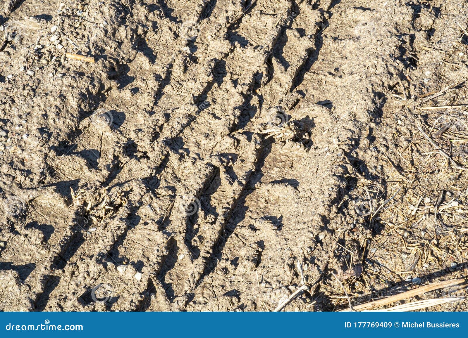 Footprint In The Dirt. Brown Road Dirt With Footprints. Background ...