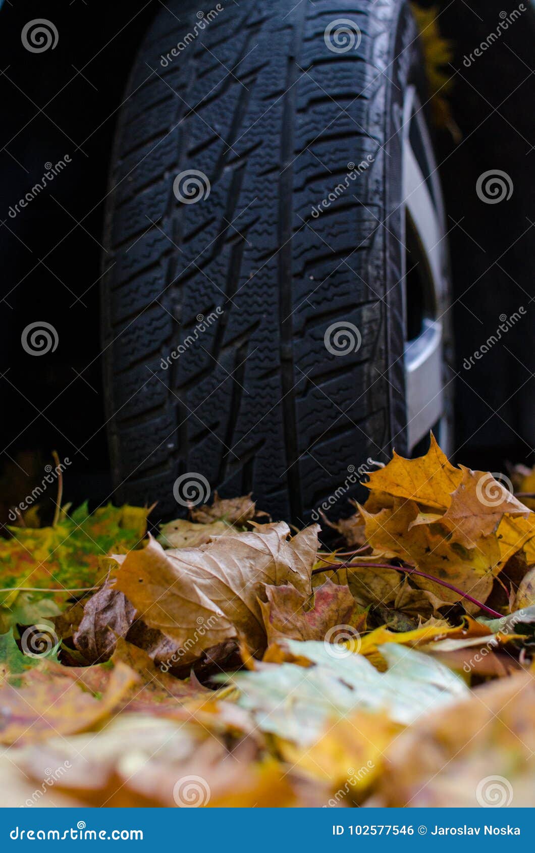 Tire in leaves stock photo. Image of blurred, fast, challenge - 102577546