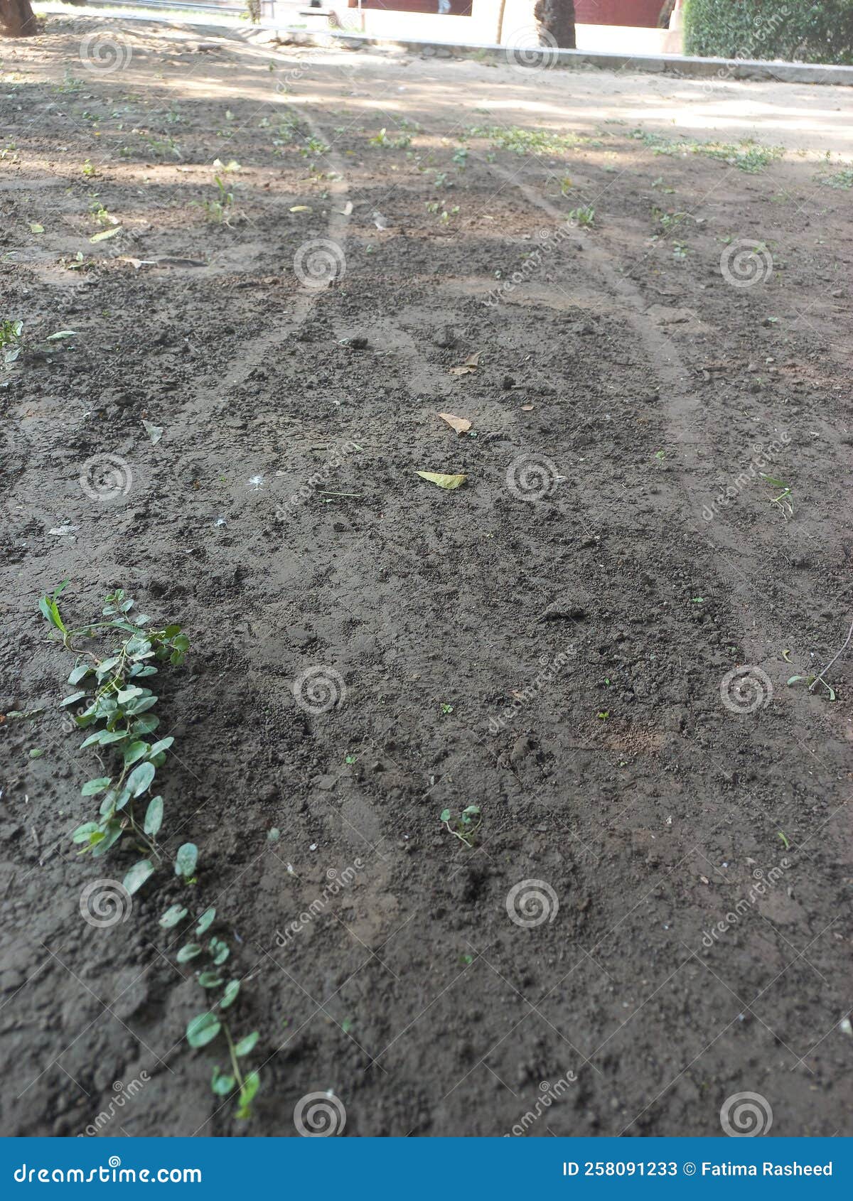 Tire Marks on Ground Full of Sand and Dust Stock Image - Image of dust ...