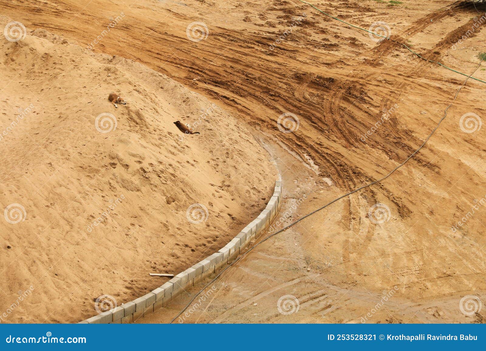 Tire Marks in the Mud stock image. Image of color, dunes - 253528321