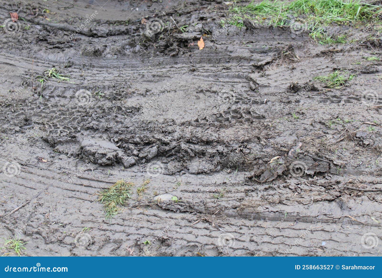 Tire Marks in a Patch of Mud Stock Image - Image of messy, trail: 258663527