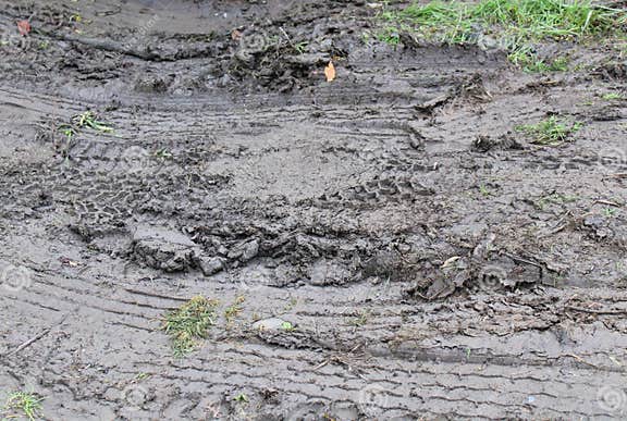Tire Marks in a Patch of Mud Stock Image - Image of messy, trail: 258663527