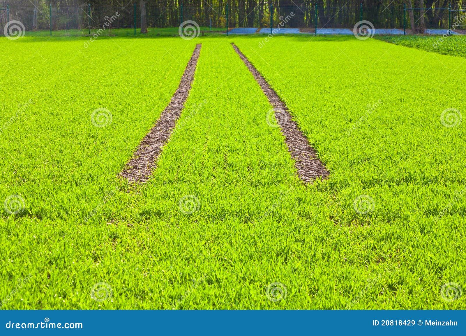 Tire Path in Field stock image. Image of grass, road - 20818429