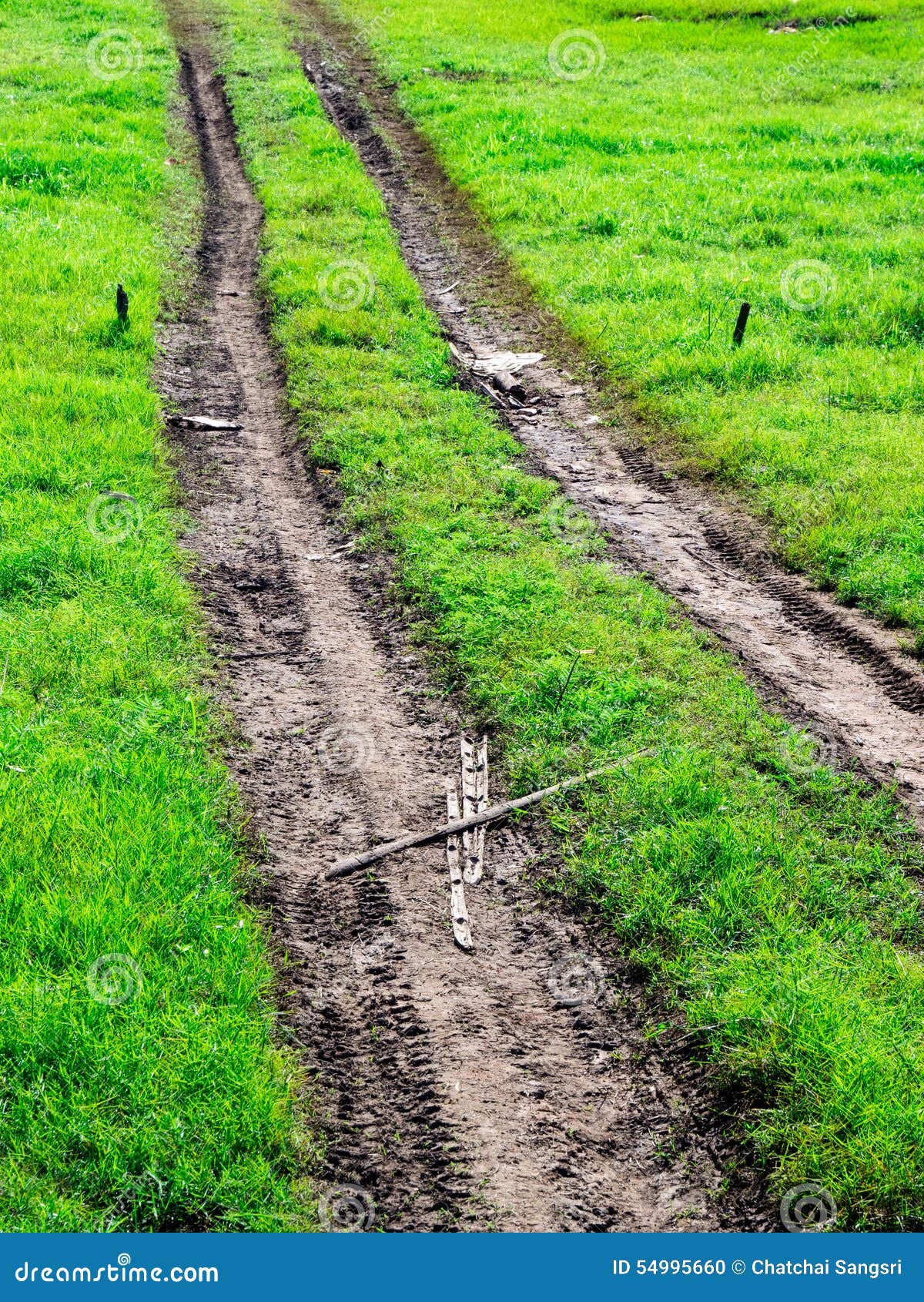 Tire Path Greenfield Stock Photos - Free & Royalty-Free Stock Photos ...