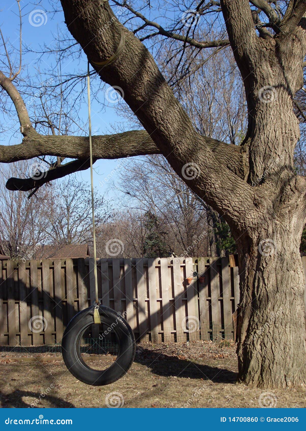 Tire Swing Hanging From A Tree In A Summer Garden. Concept Photo Of ...