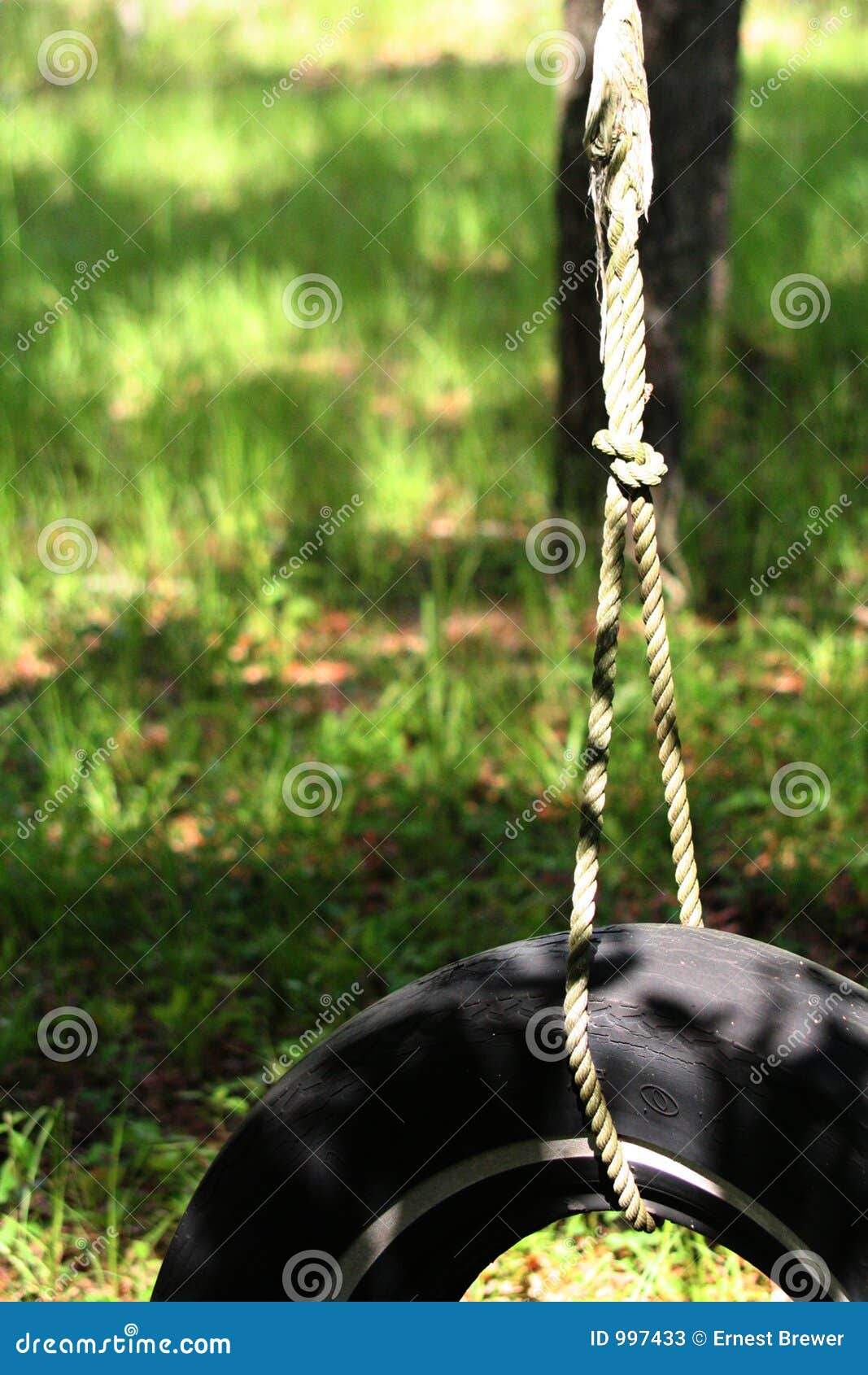 Tire Swing stock image. Image of knot, knots, outdoor, rope - 997433