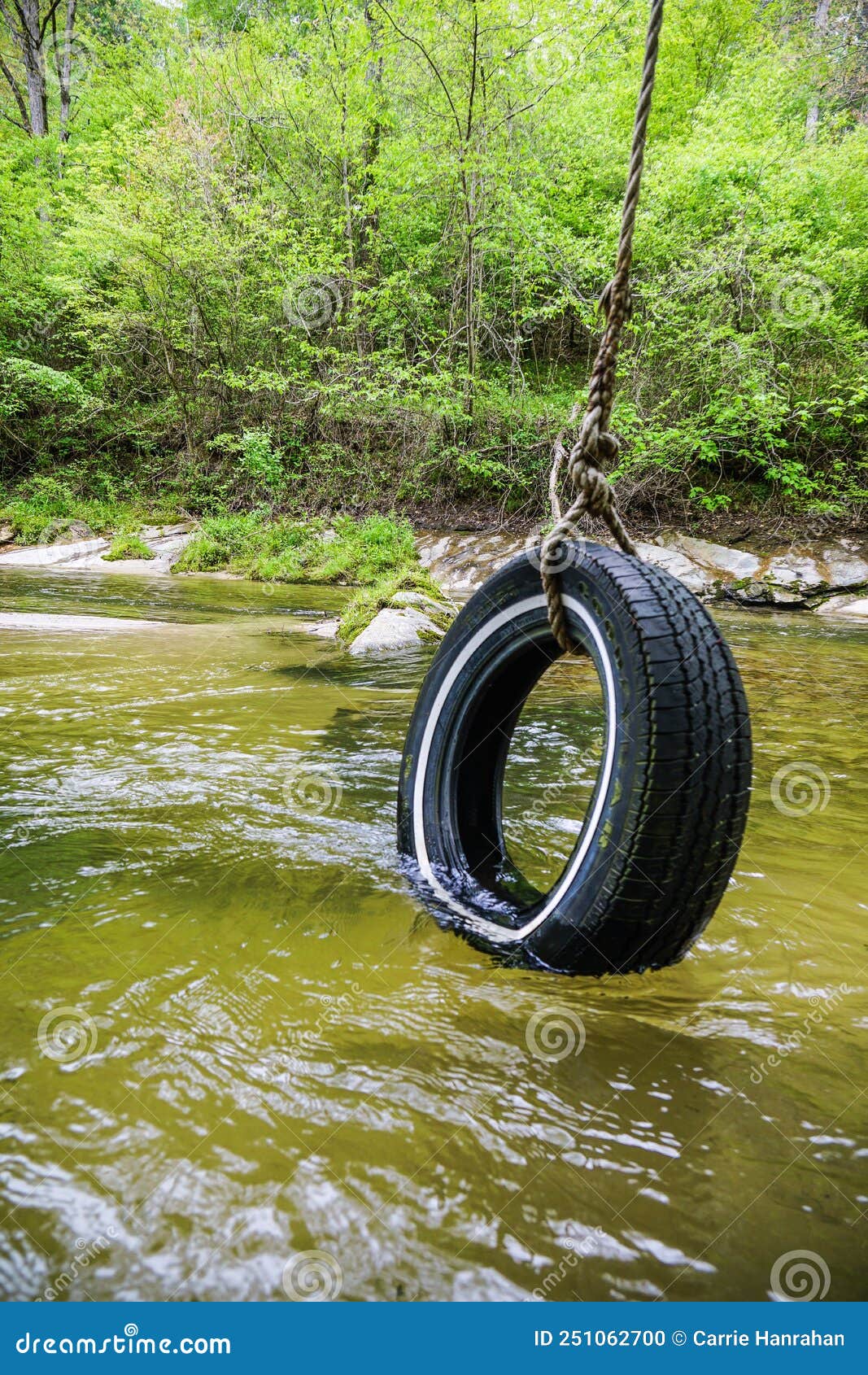 Tire Swing Hanging from a Rope in a River Stock Photo - Image of rope ...