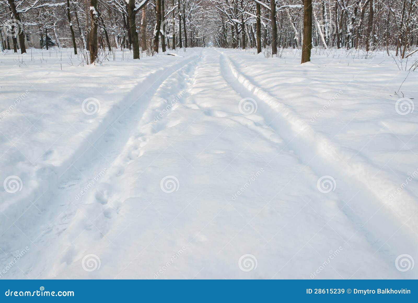 Tire trace on snow in park stock image. Image of park - 28615239