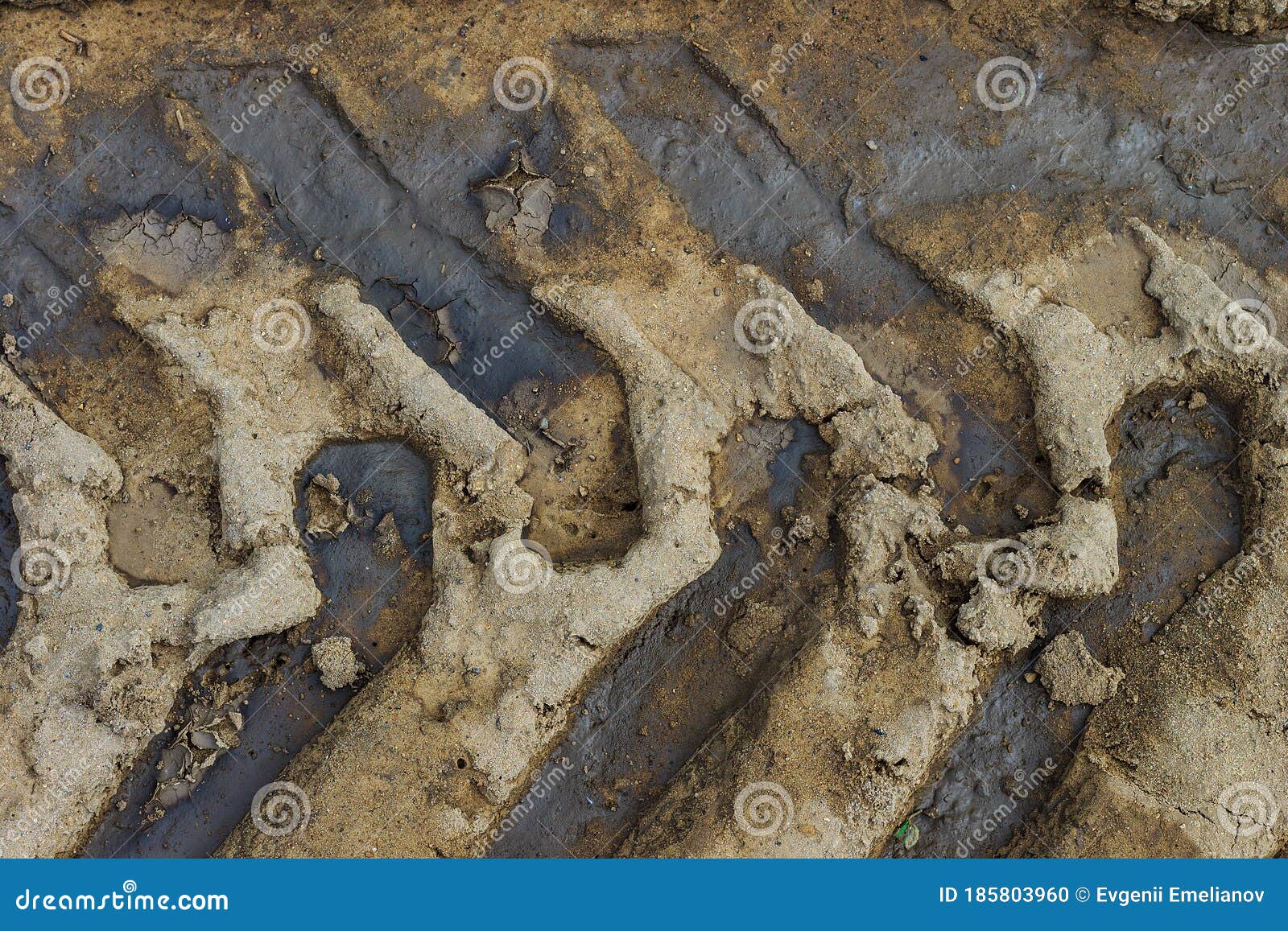 Tire Track on the ground stock photo. Image of print - 185803960