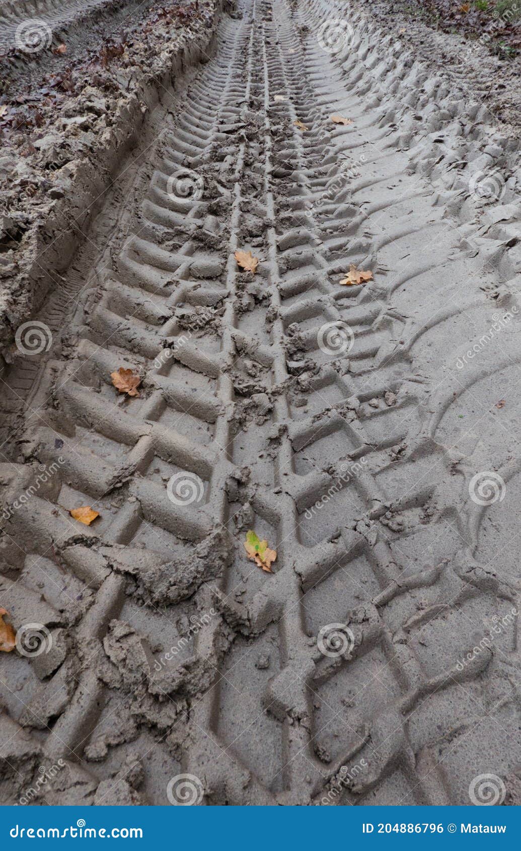 Tire track in mud stock photo. Image of surface, road - 204886796