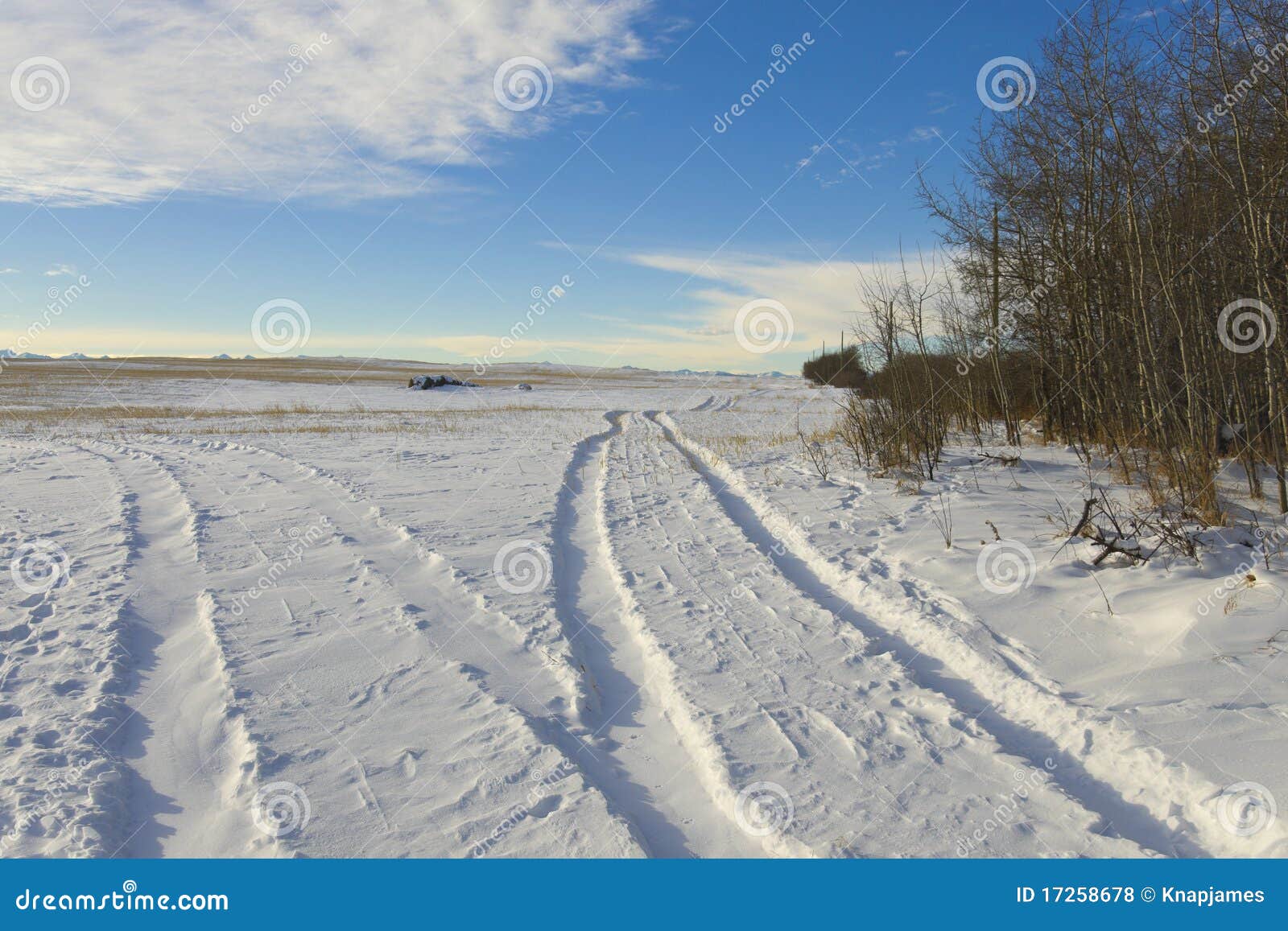 Tire track print in snow stock photo. Image of texture - 17258678