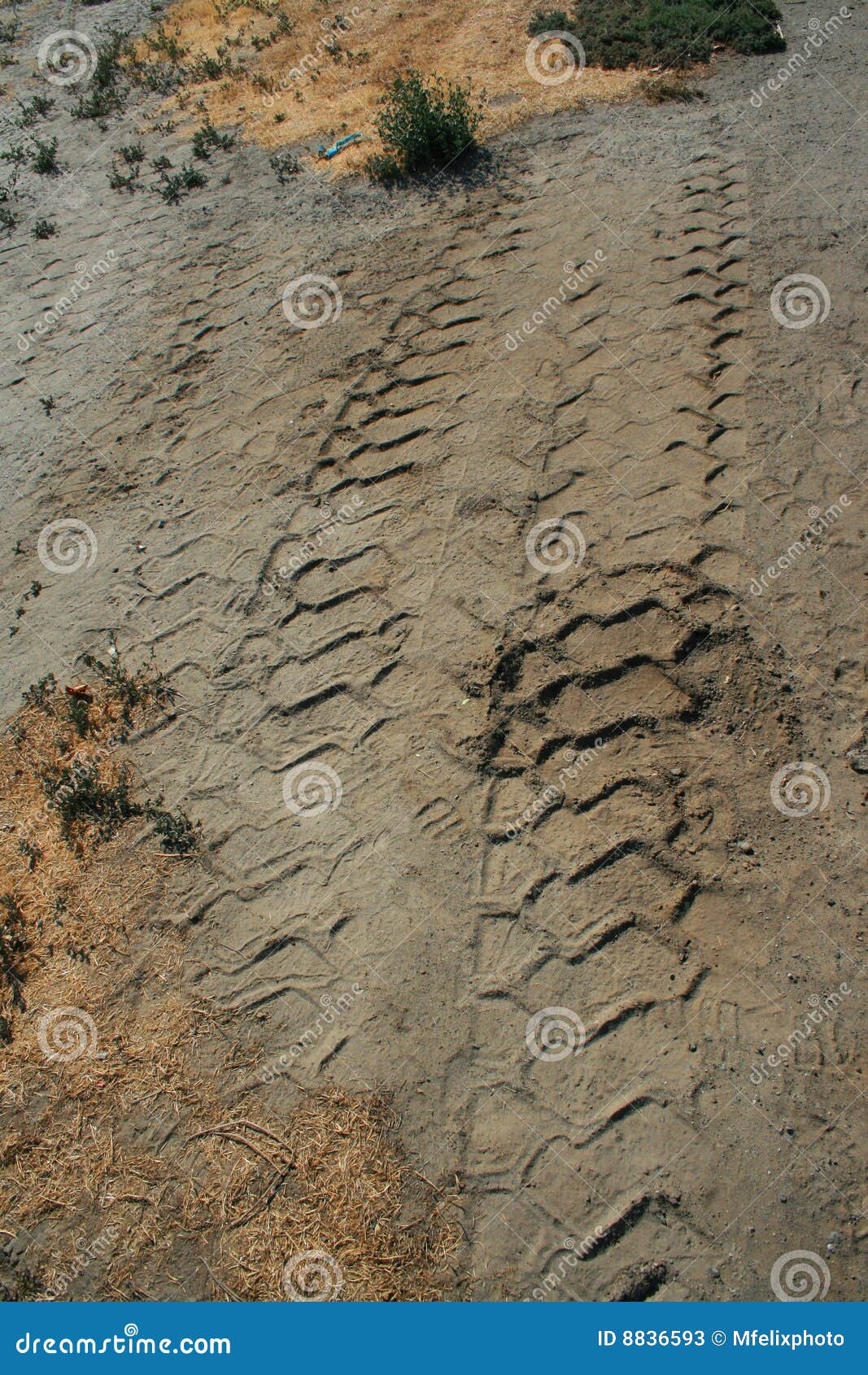 Tire Tracks stock image. Image of roadway, closeup, texture - 8836593