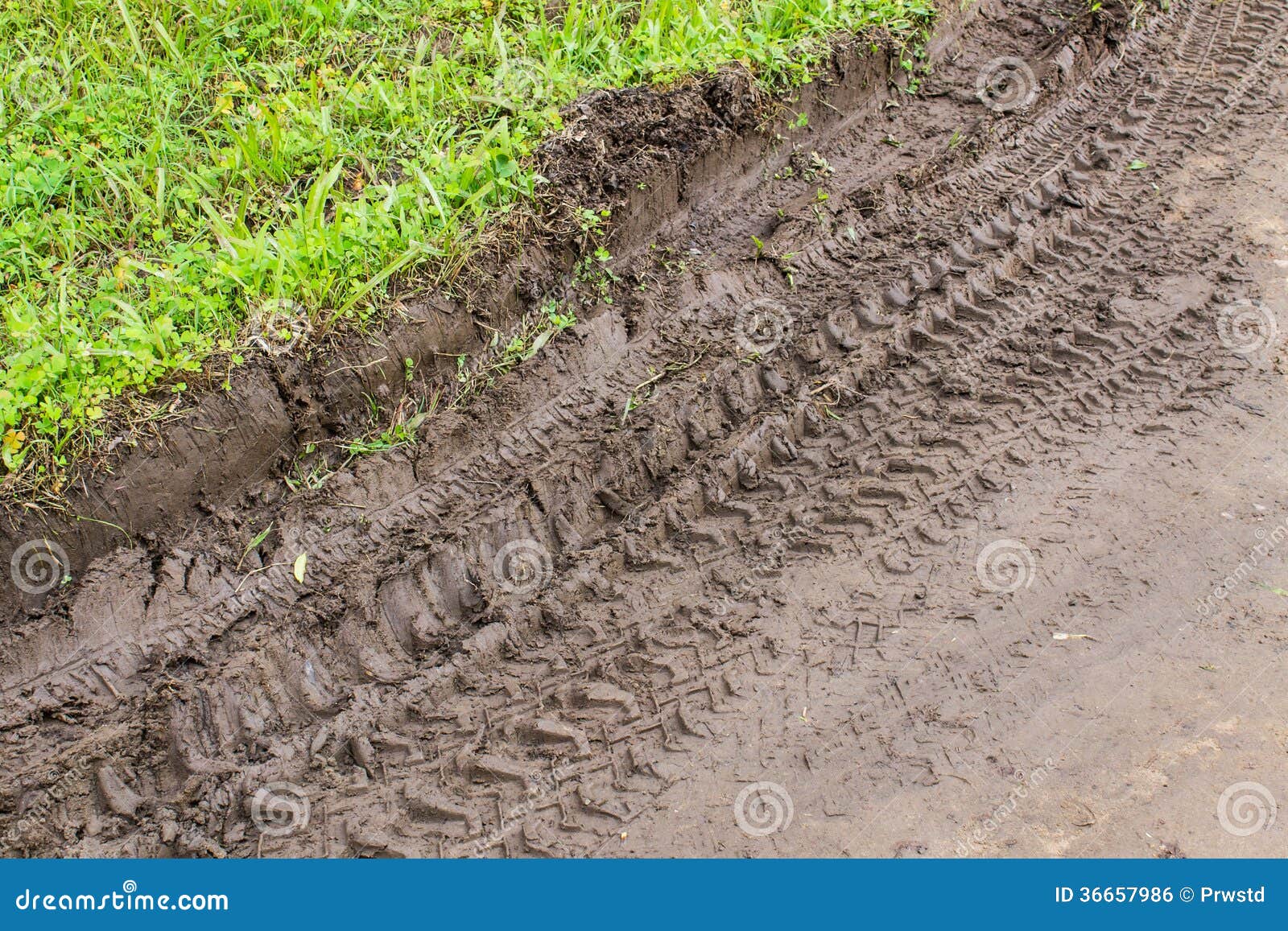 Tire Tracks Adventure on Dirt Road Stock Photo - Image of track, marks ...