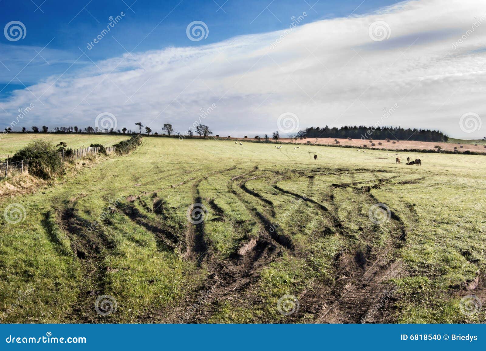Tire Tracks in Agricultural Field Stock Photo - Image of empty, ground ...