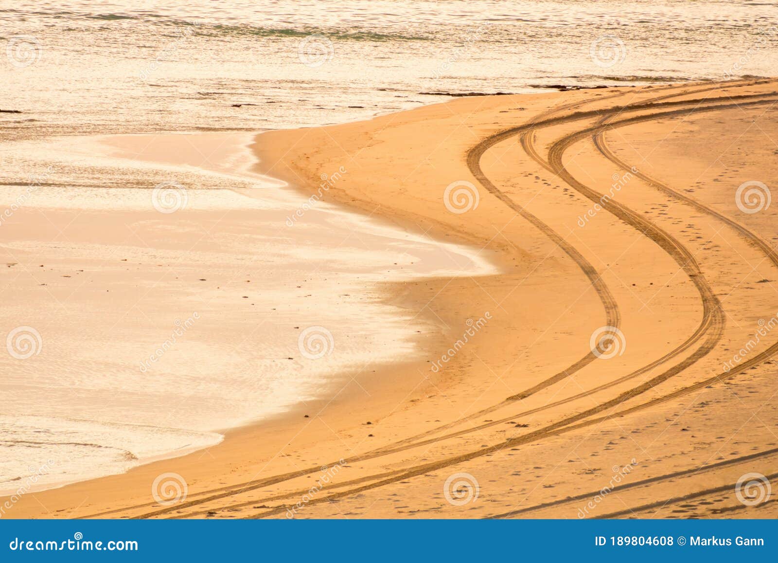 Tire tracks on the beach stock photo. Image of vacation - 189804608