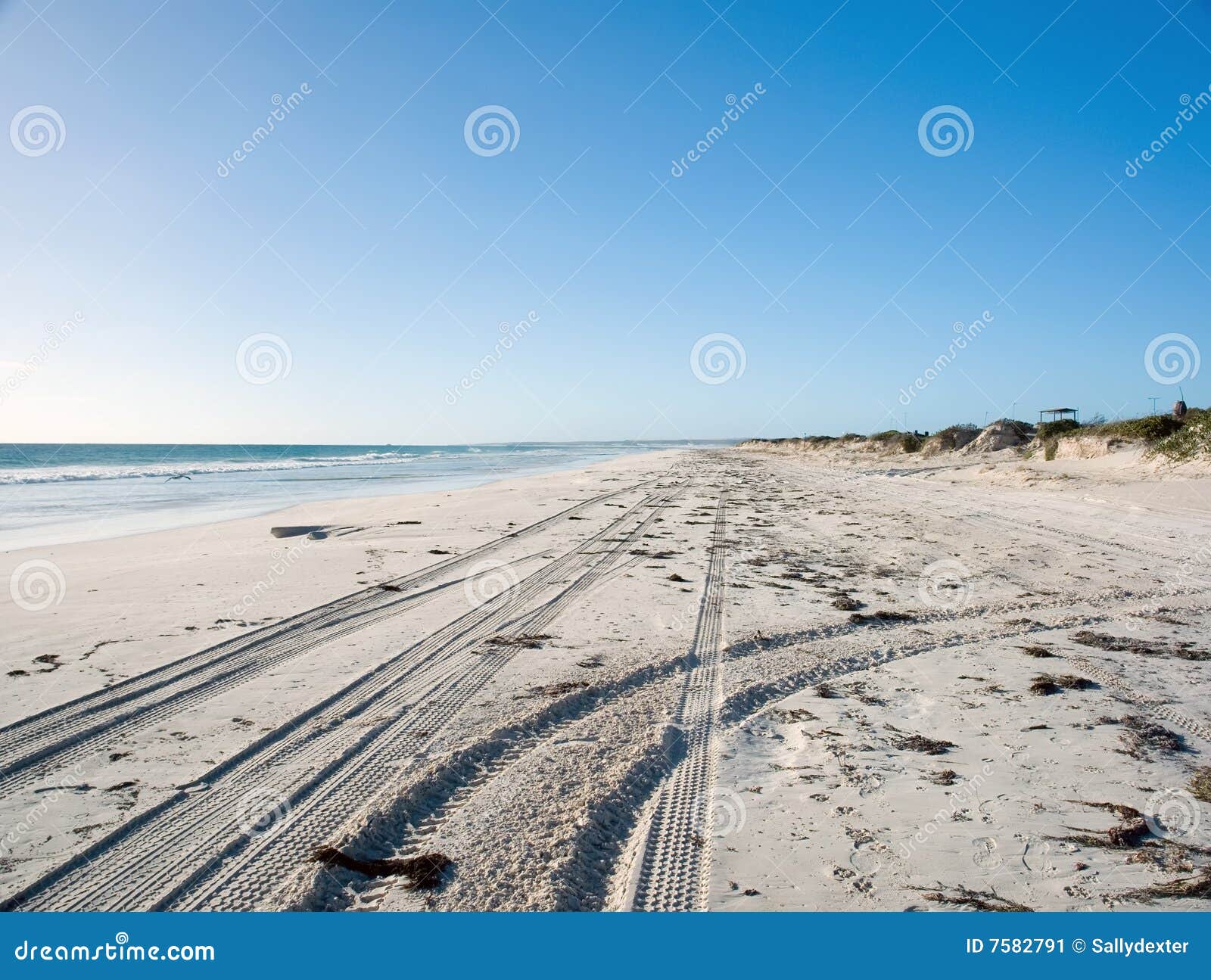 Tire tracks on beach sand stock image. Image of tyre, leisure - 7582791