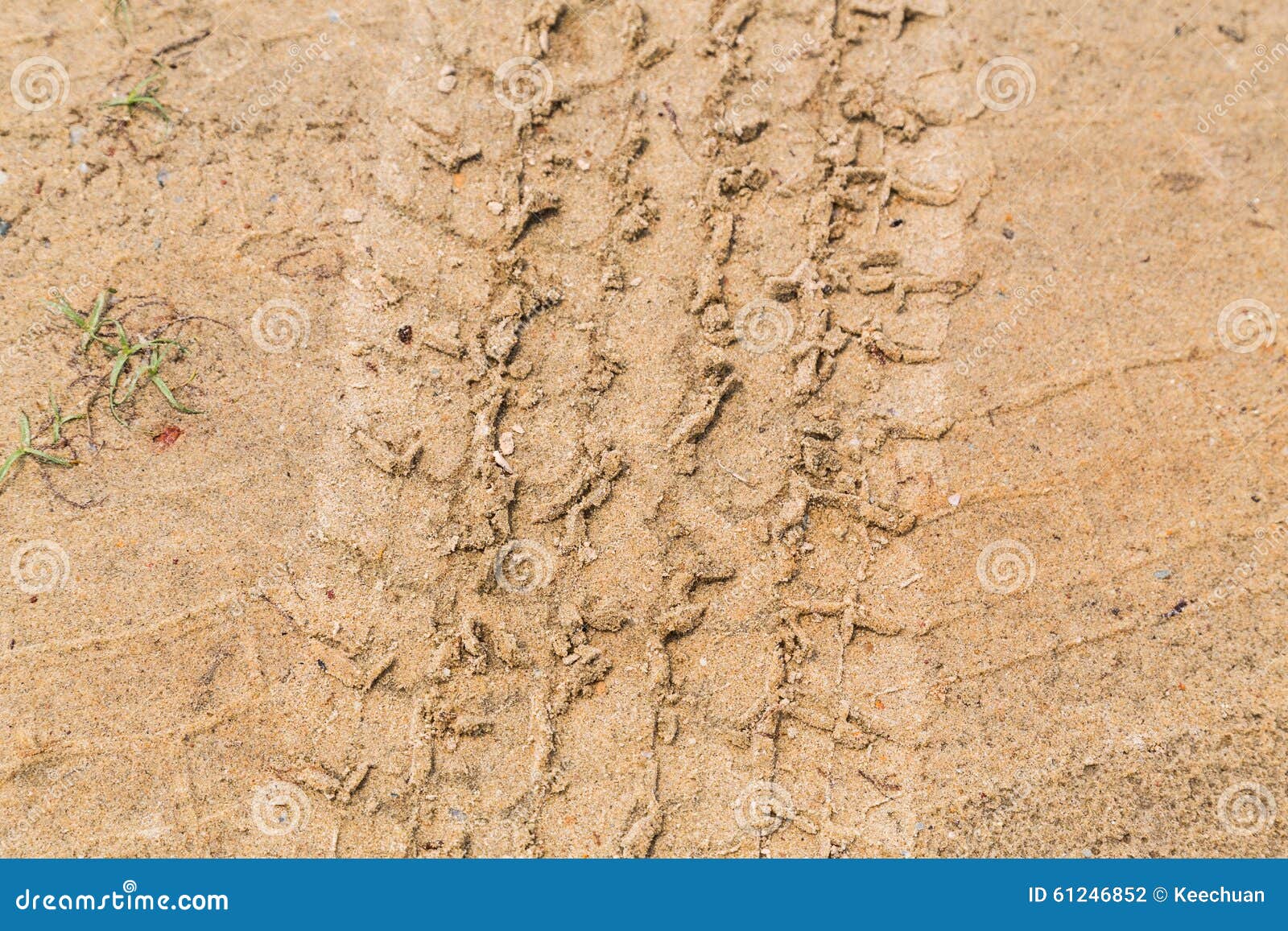 Tire Tracks on Dry Brown Yellow Dirt Road Stock Photo - Image of dirt ...