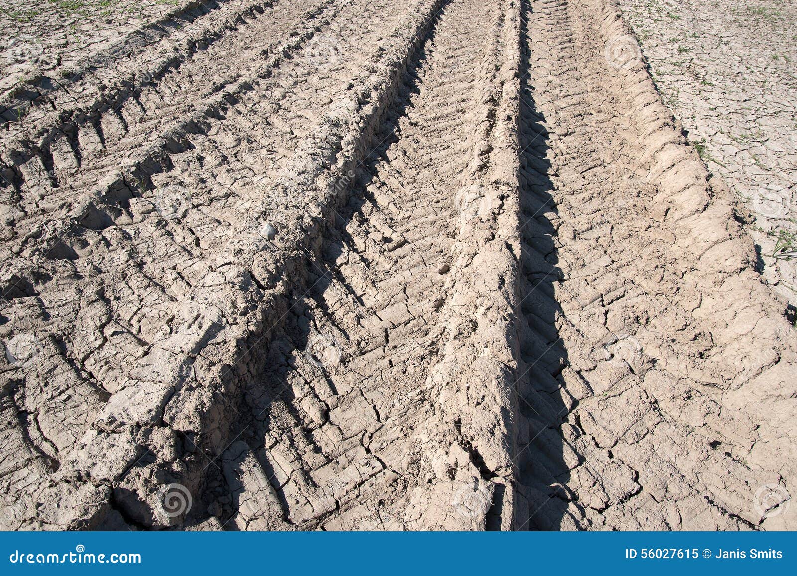 Tire tracks. stock image. Image of dirty, summer, closeup - 56027615