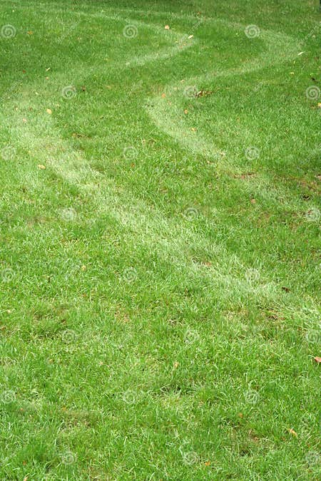 Tire tracks in the grass stock photo. Image of tracks - 3059058