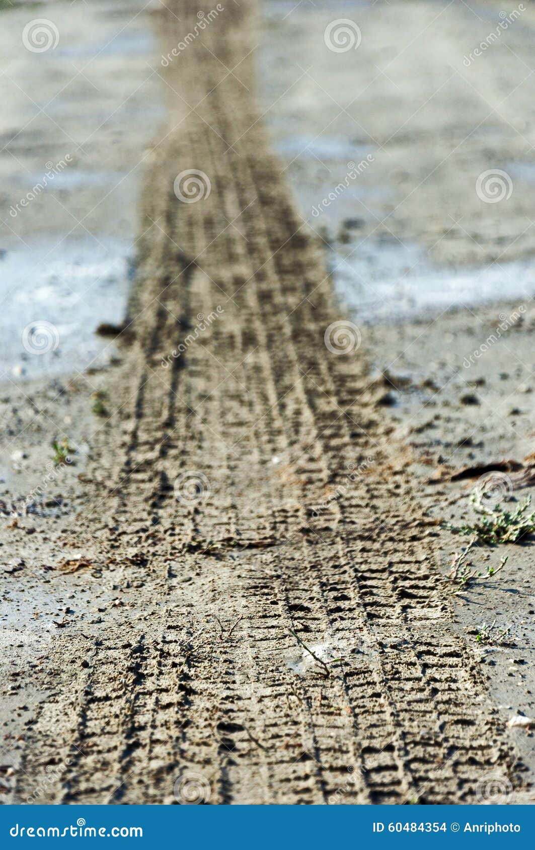 Tire tracks in the mud stock photo. Image of trail, nature - 60484354