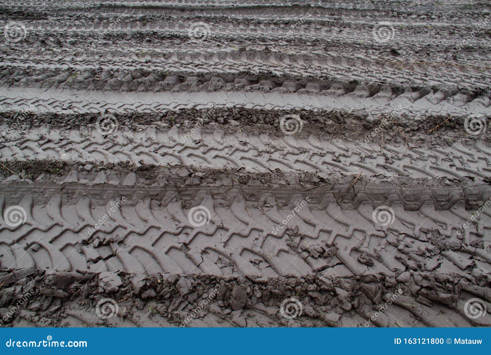 Tire tracks in mud stock photo. Image of agriculture - 163121800