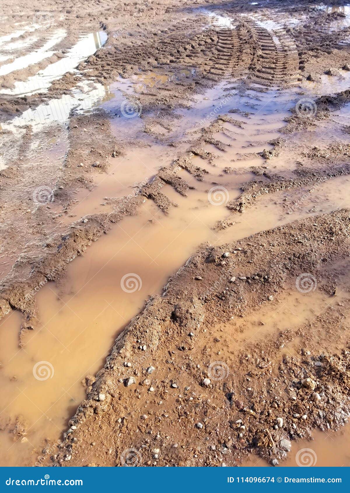 Tire tracks in the mud. stock photo. Image of imprints - 114096674