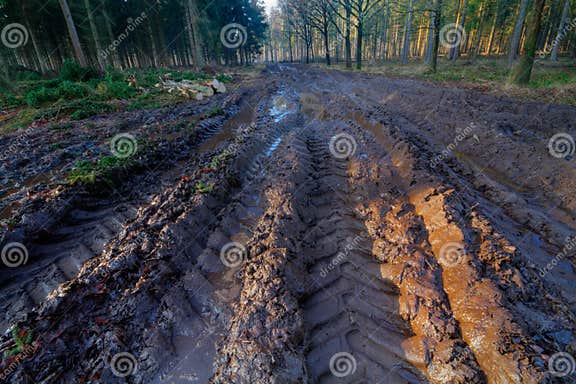 Tire tracks in mud stock image. Image of sand, tyre, pattern - 35900721